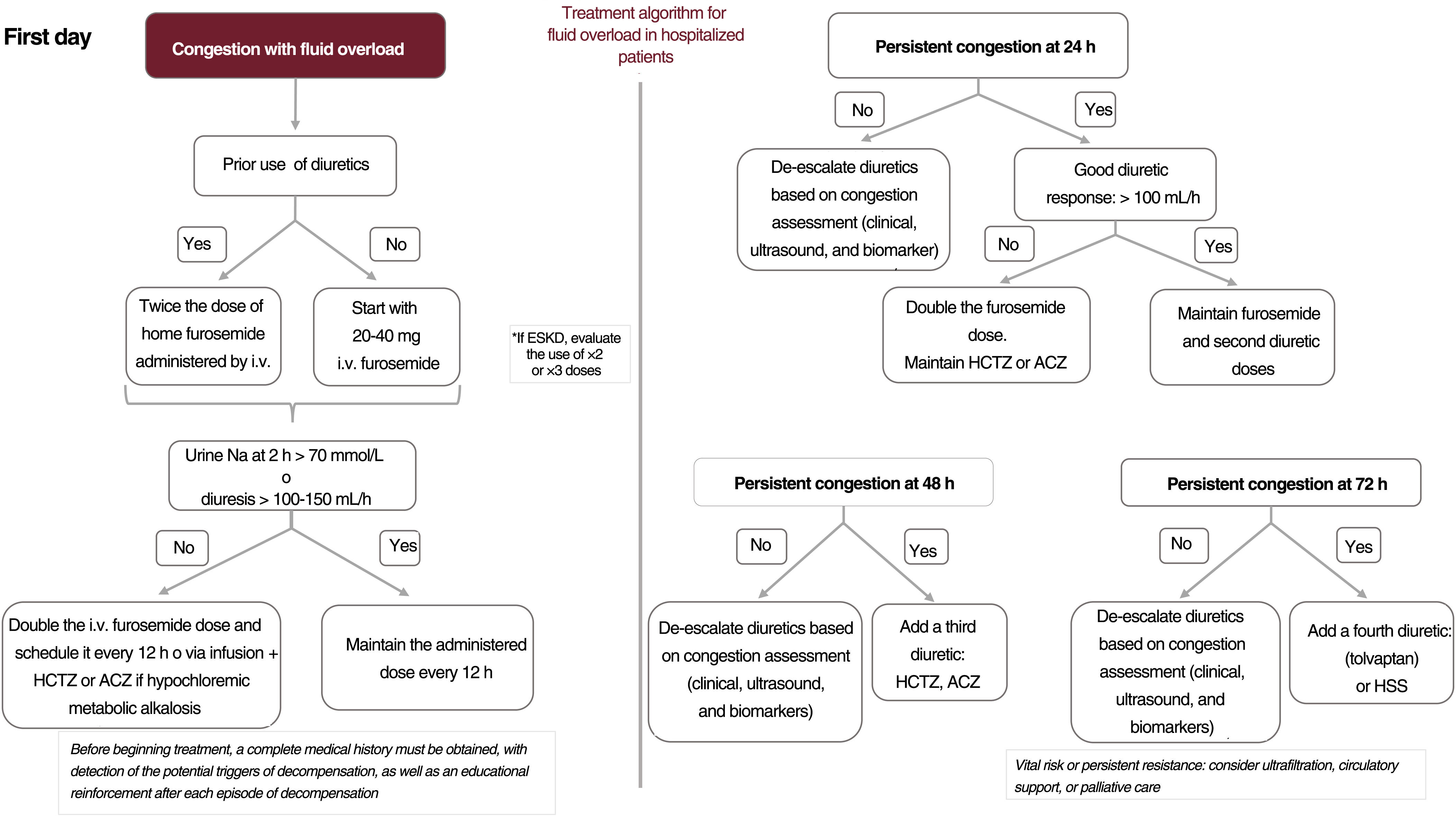 Consensus on the approach to hydrosaline overload in acute heart ...