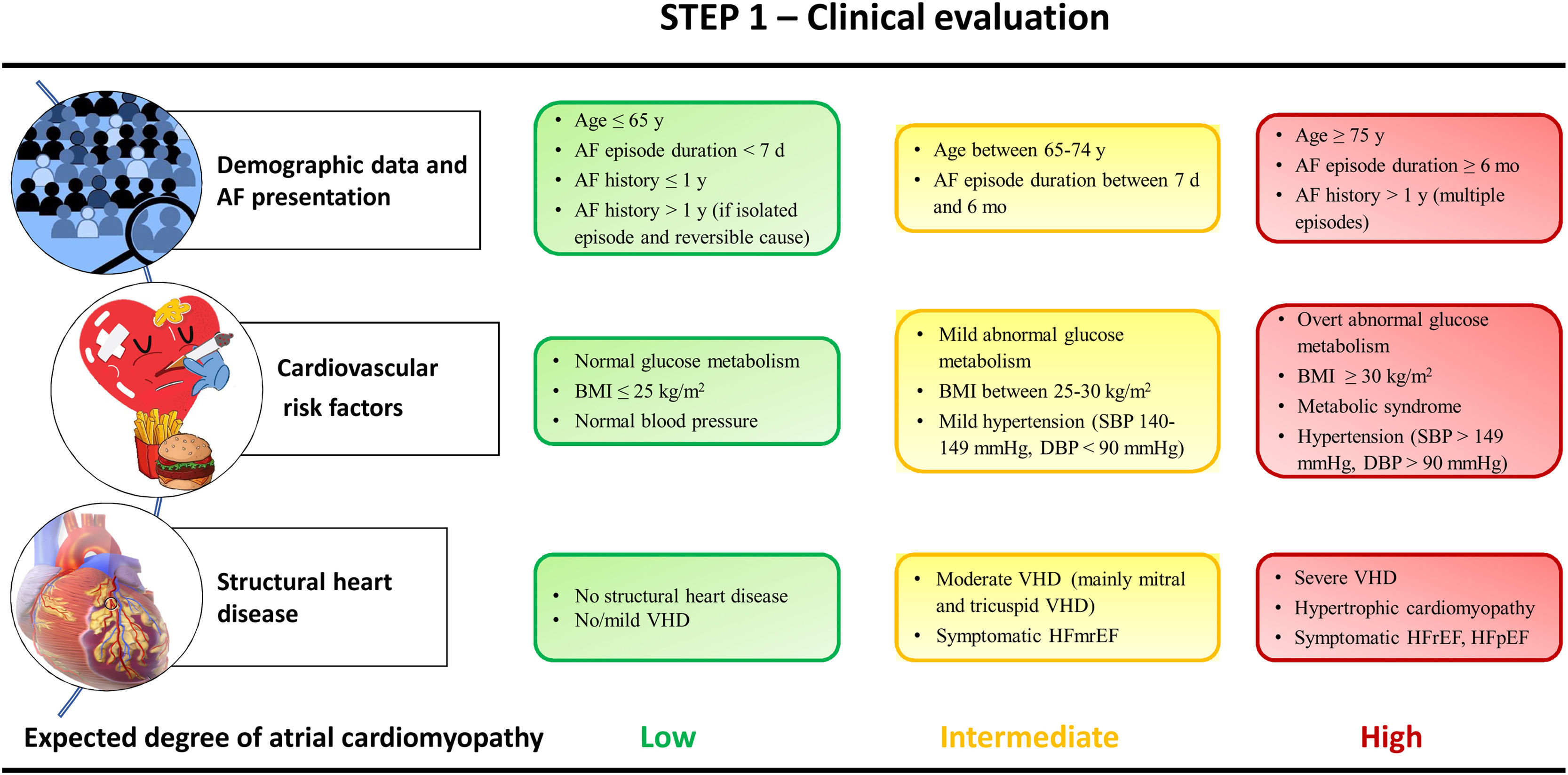 Practical approach for atrial cardiomyopathy characterization in ...