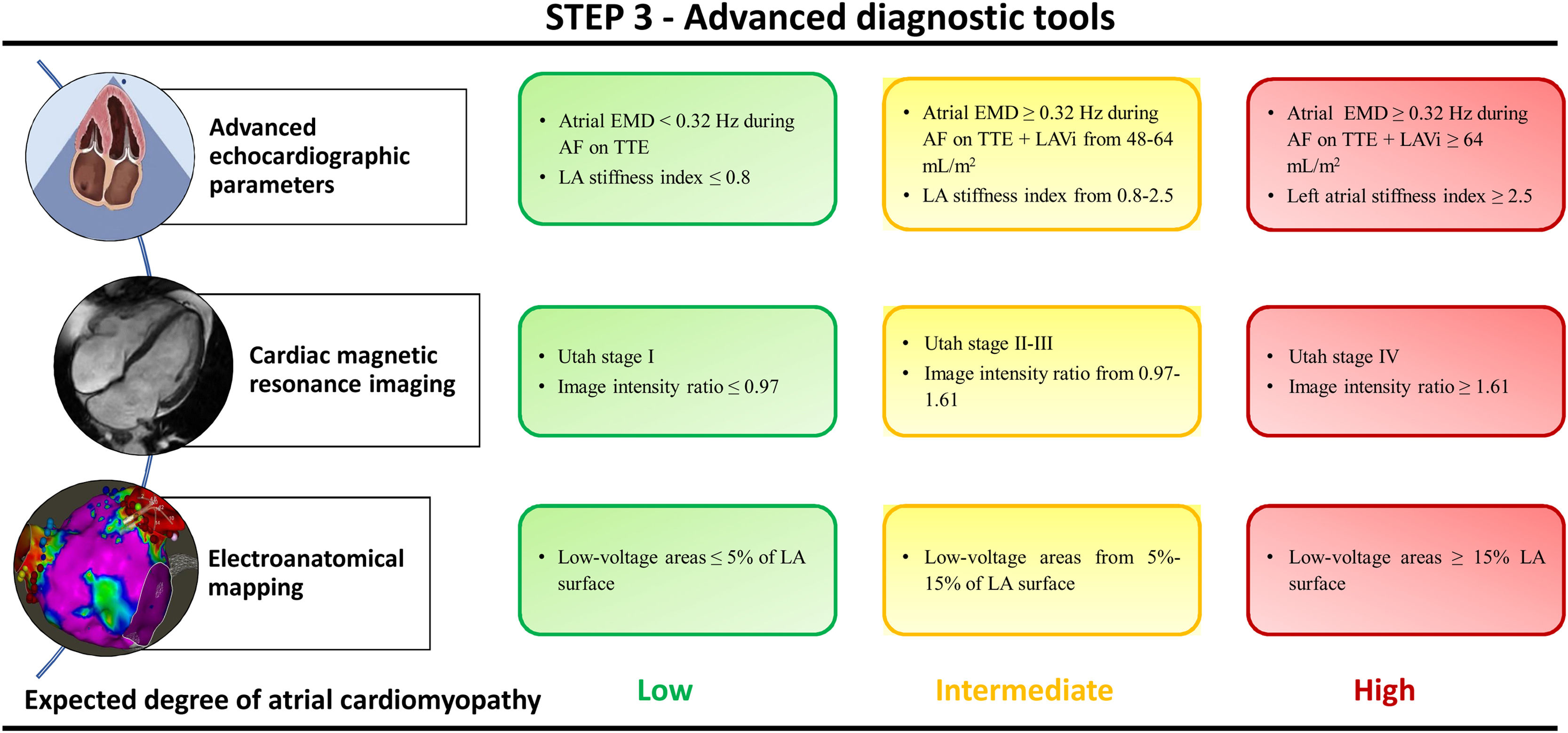 Practical approach for atrial cardiomyopathy characterization in ...