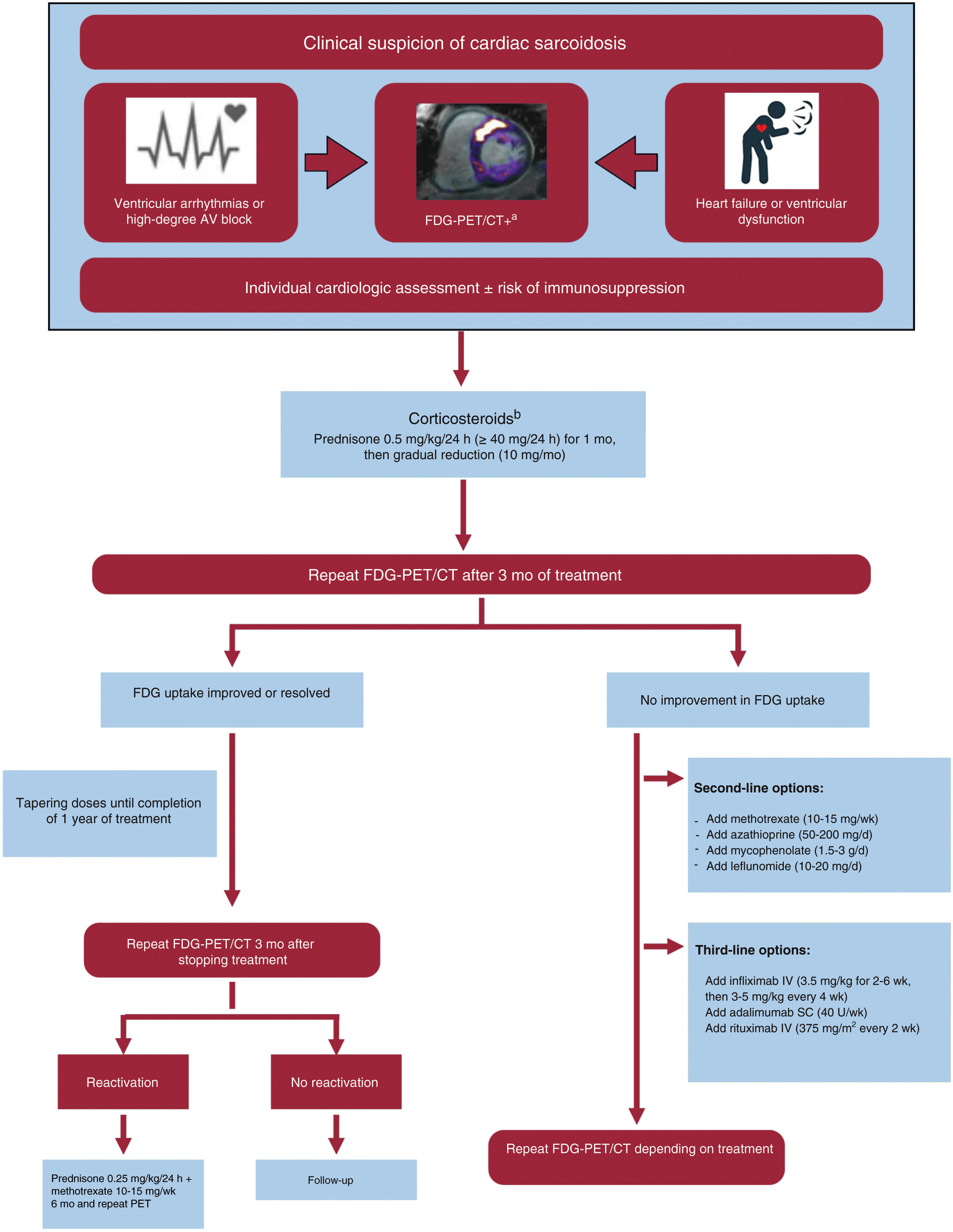 myocarditis esc guidelines