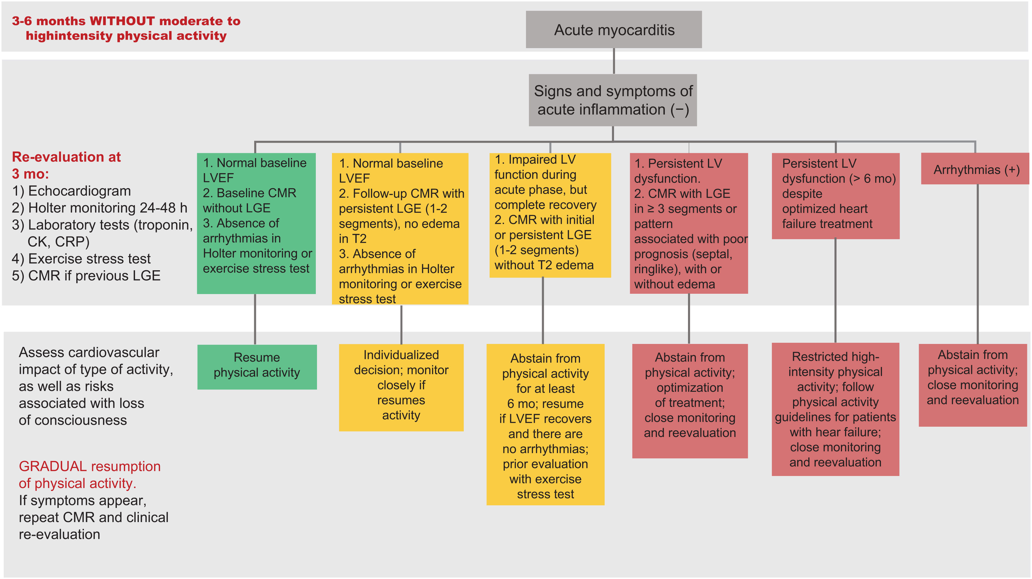myocarditis esc guidelines