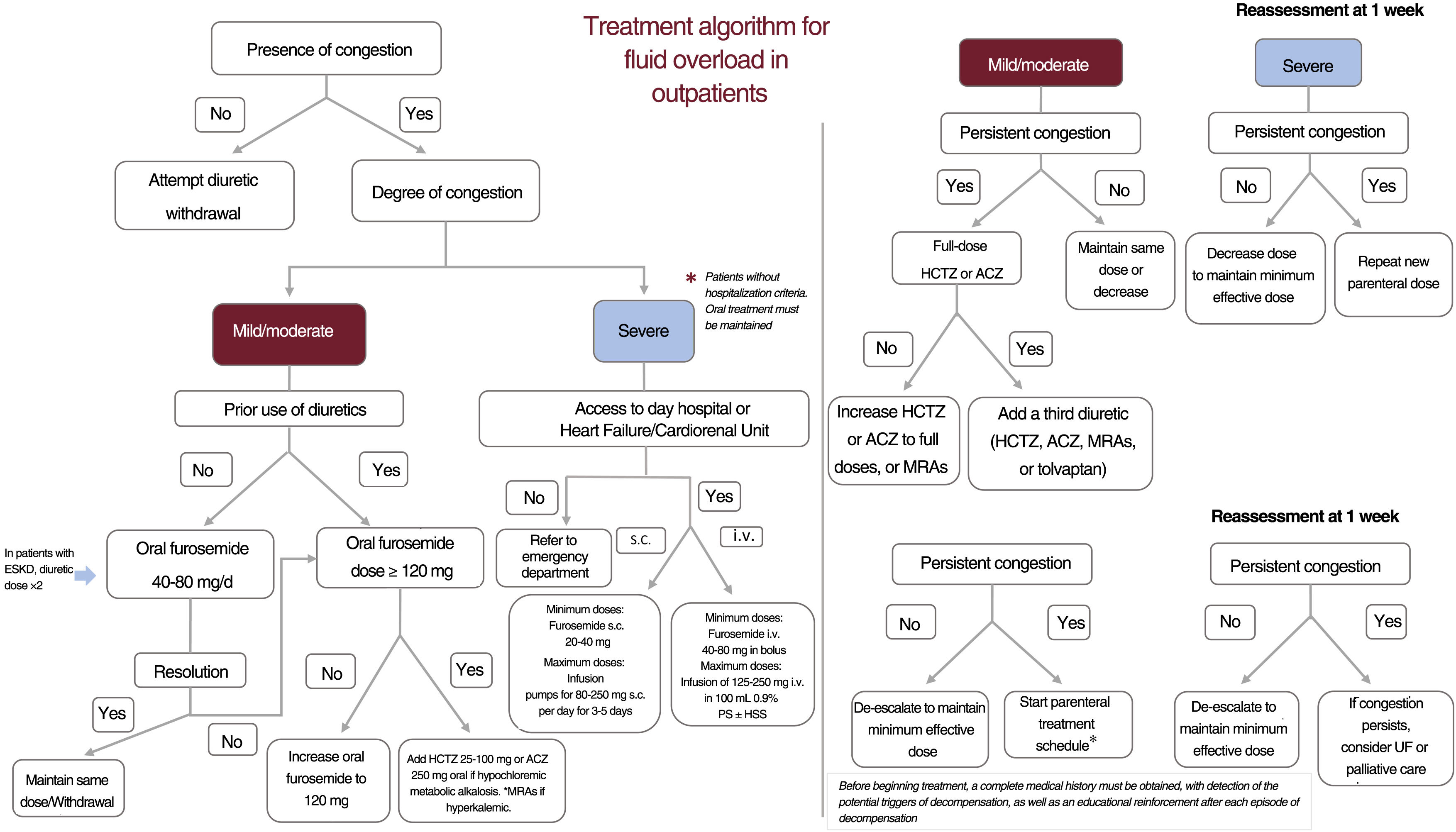 Consensus on the approach to hydrosaline overload in acute heart ...