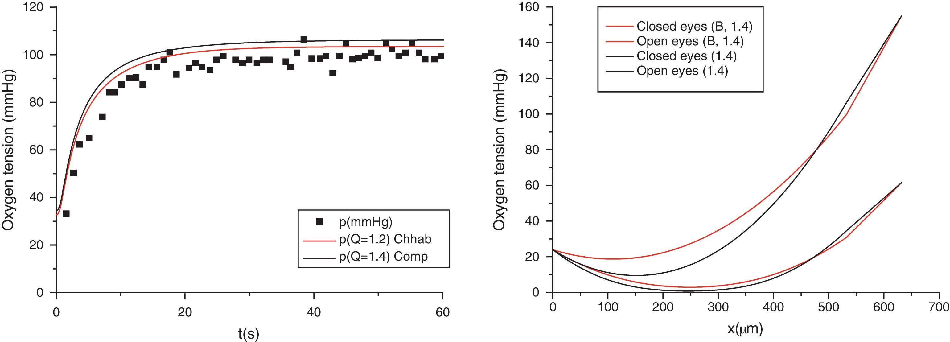 Diffusion and Monod kinetics model to determine in vivo human corneal ...