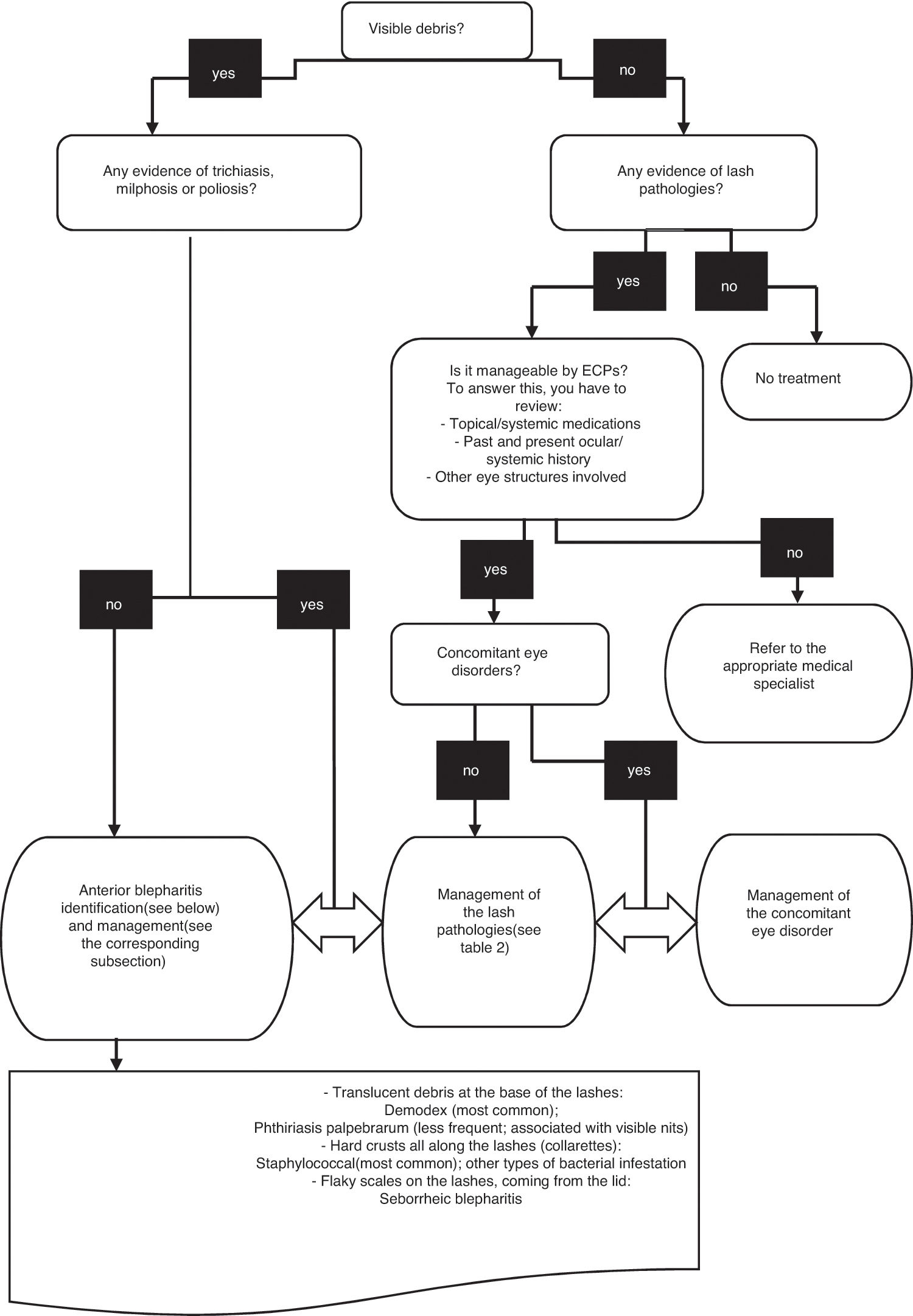 The eyelash follicle features and anomalies: A review | Journal of ...