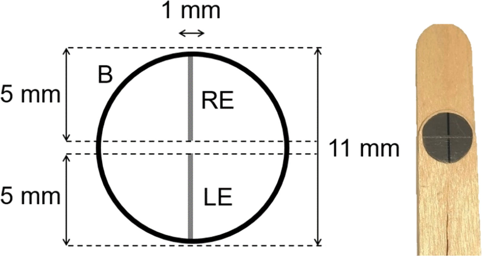 A novel approach using a polarized nonius test to evaluate the near ...