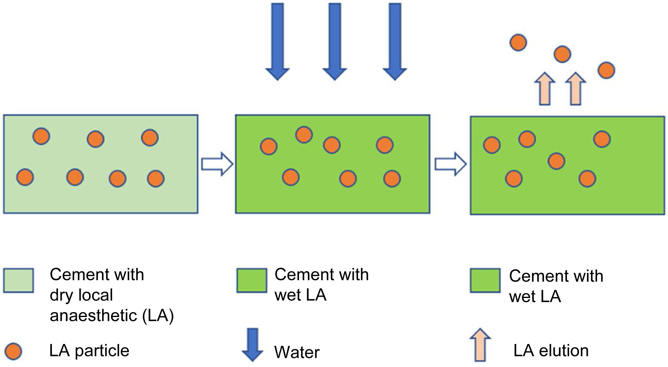 [Translated article] In vitro elution of local anaesthetics from PMMA ...