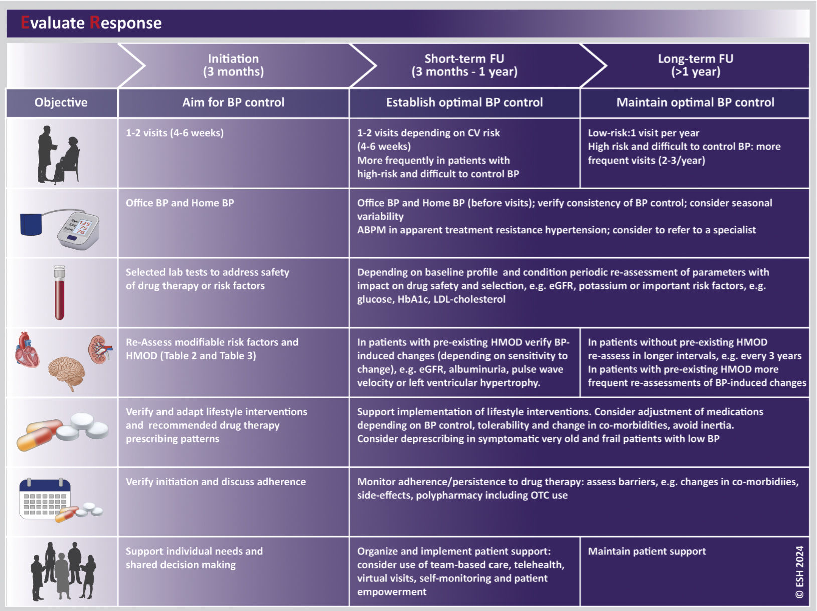 Position paper on the 2024 ESH clinical practice guidelines for the ...
