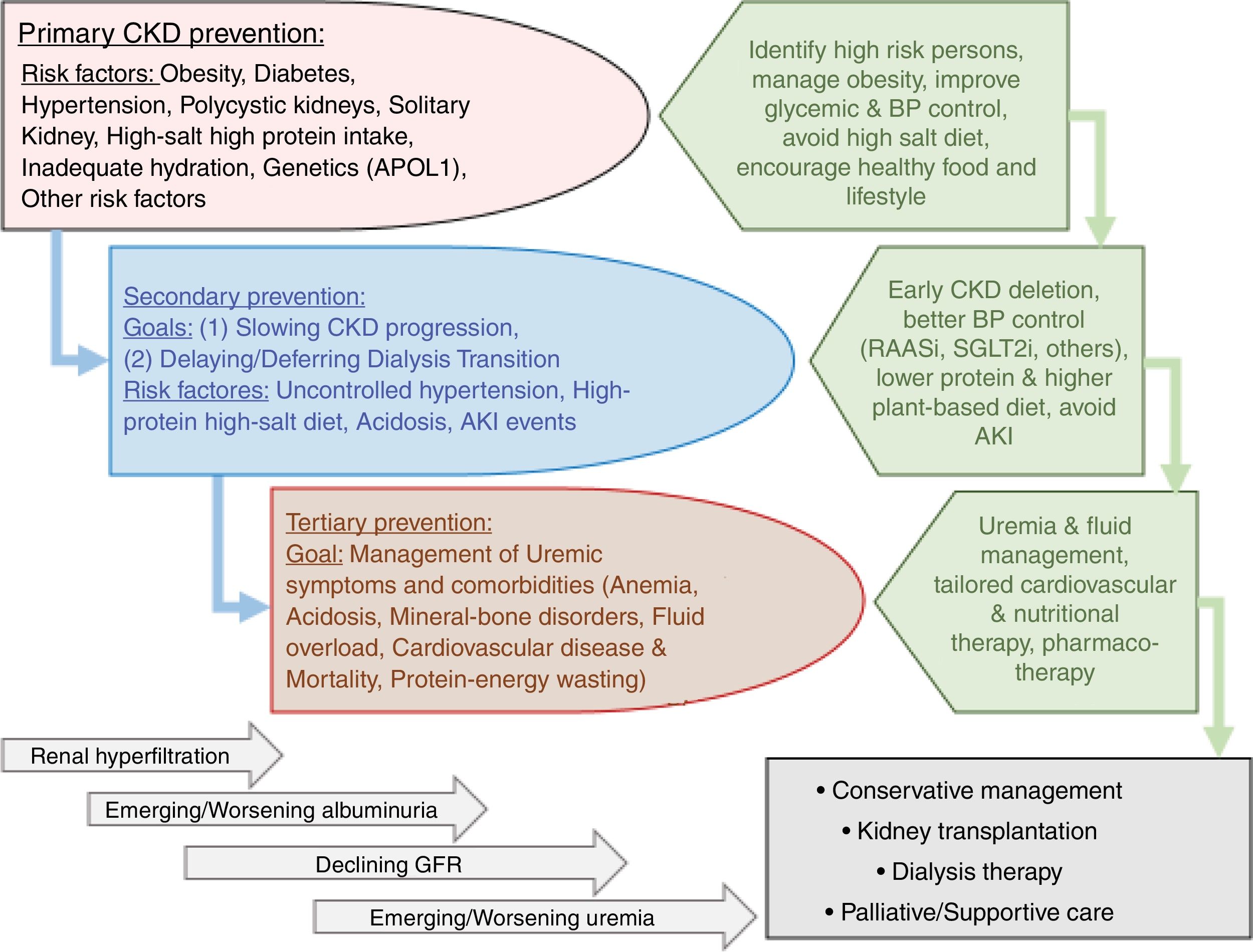 Kidney Health for Everyone Everywhere – From prevention to detection ...