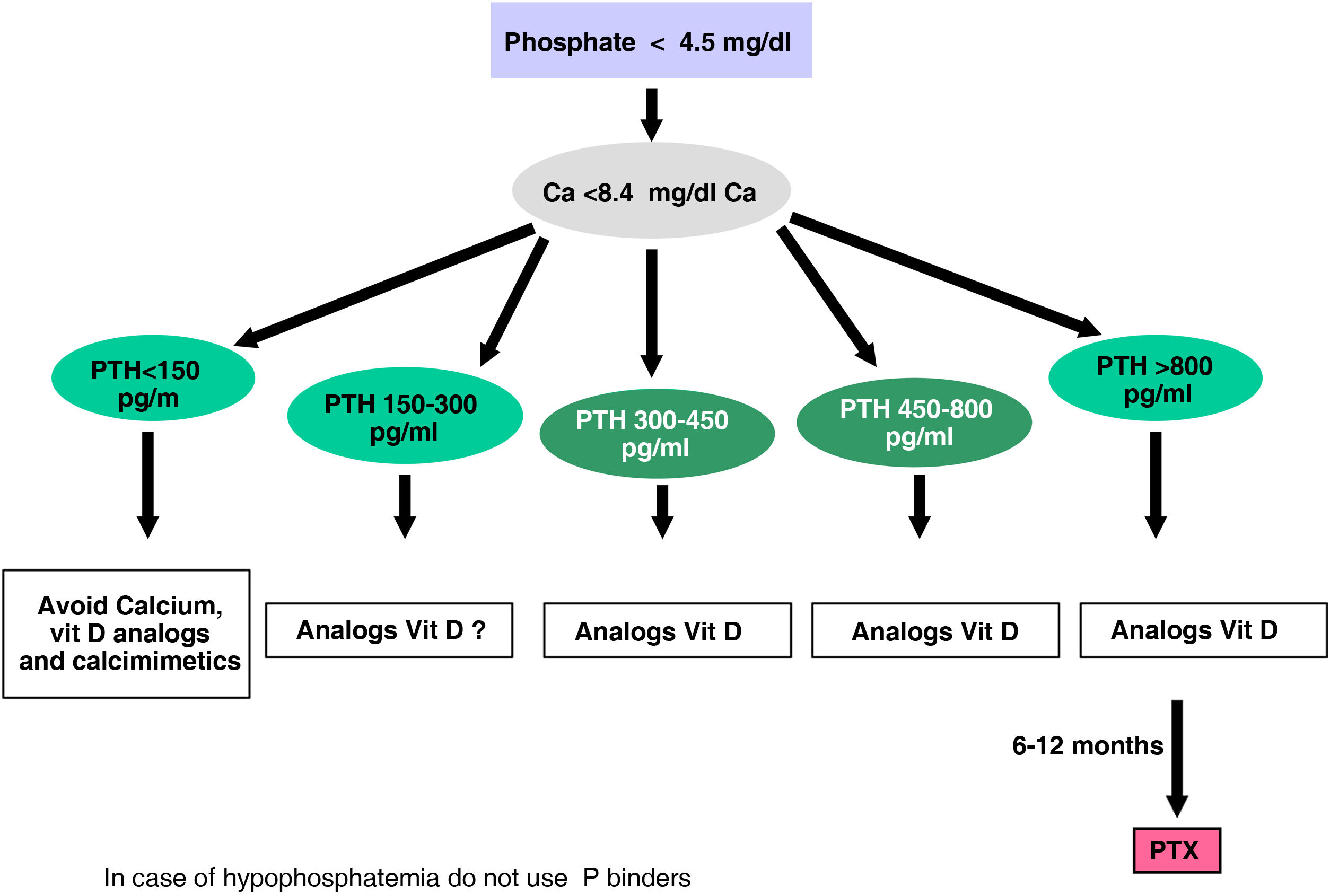Recommendations of the Spanish Society of Nephrology for the management ...