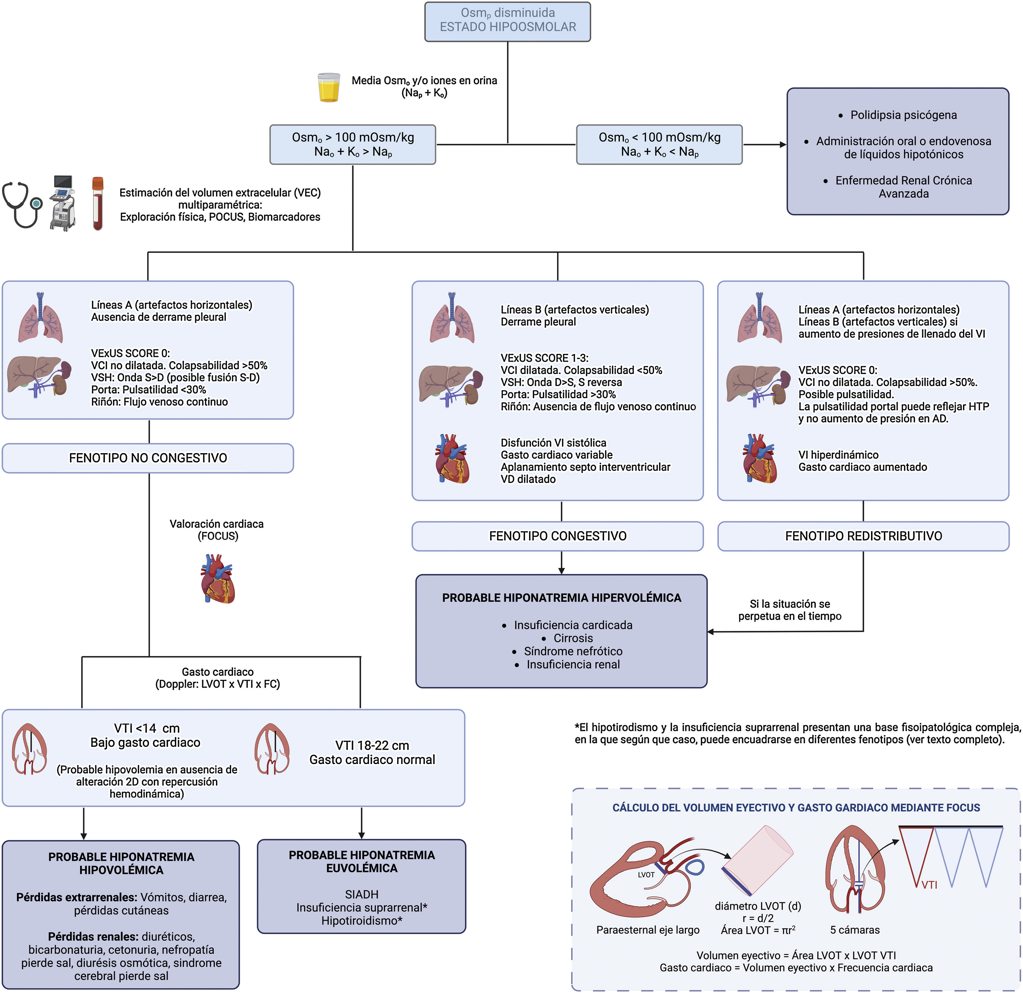 Precision medicine: “Point of Care Ultrasound” (PoCUS) in the ...