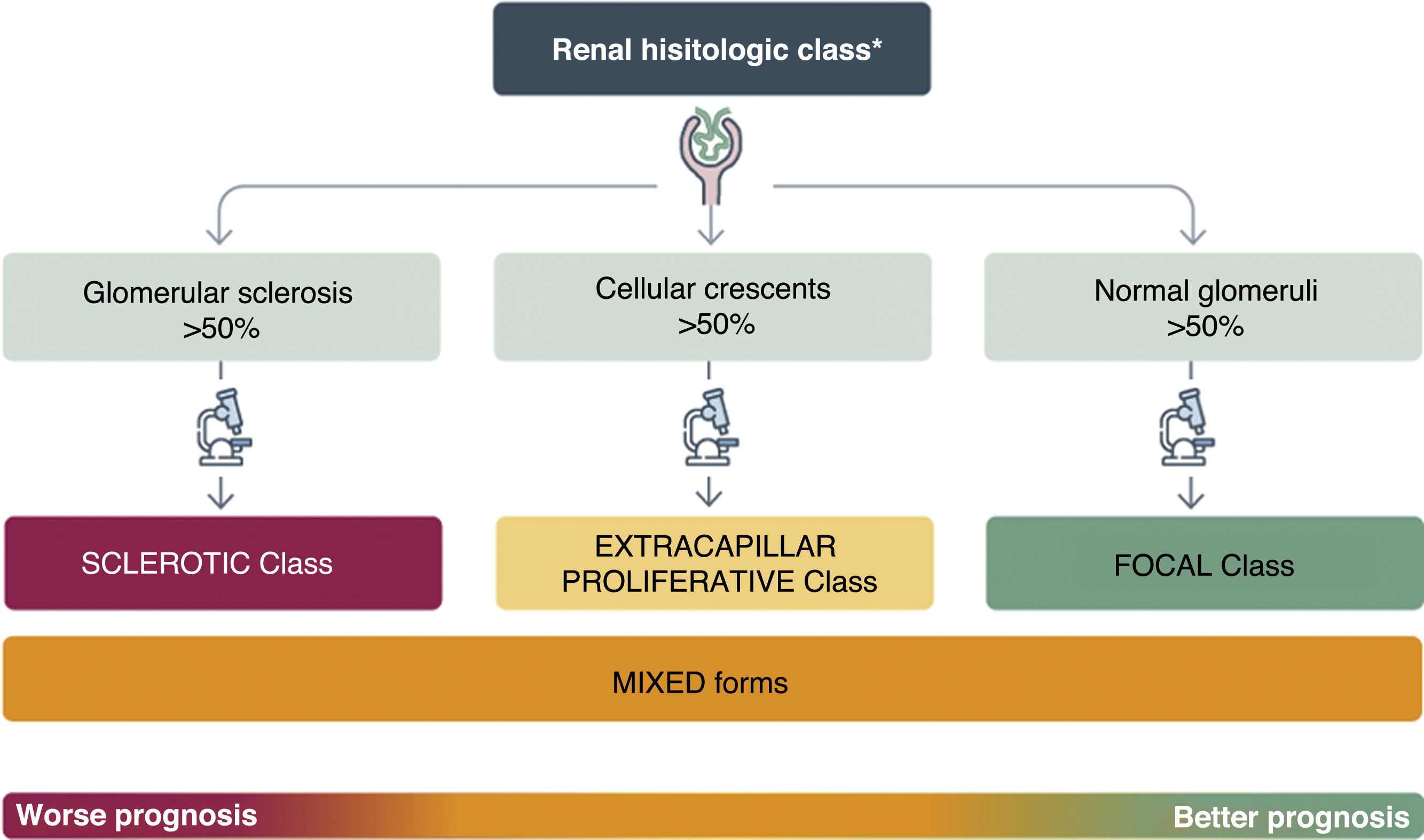 Recommendations for the diagnosis and treatment of anti-neutrophil ...