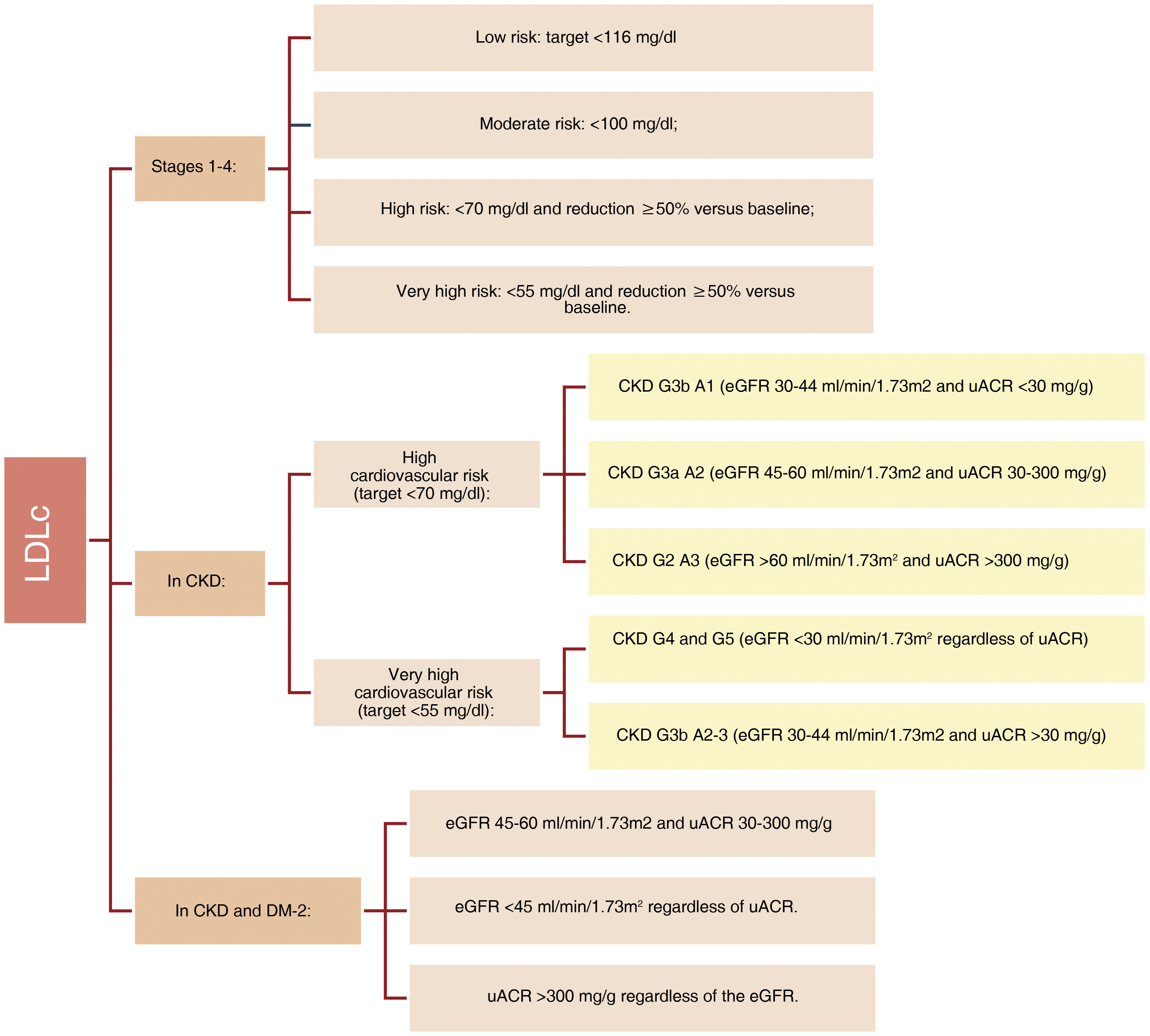 Cardiovascular-kidney-metabolic syndrome definition and its role in the ...
