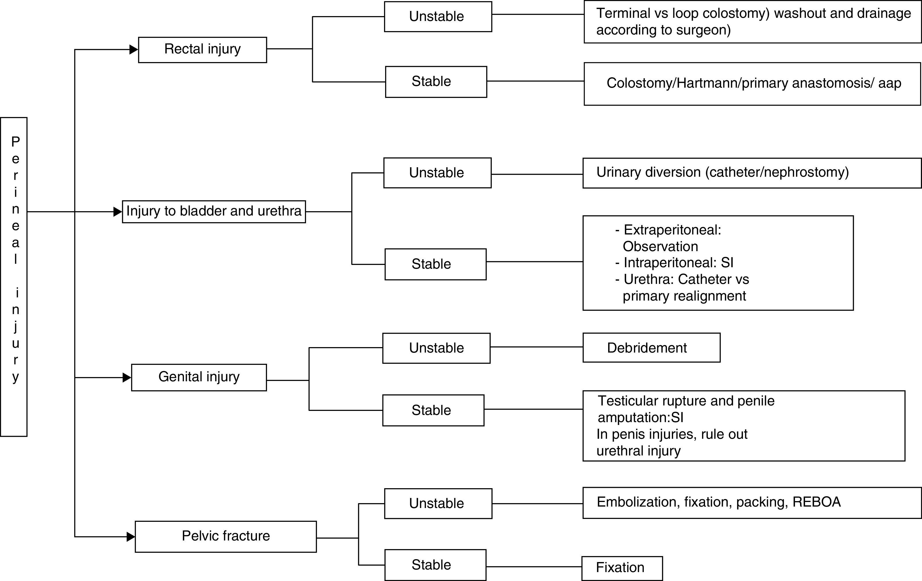 Treatment of Complex Perineal Trauma. A Review of the Literature ...