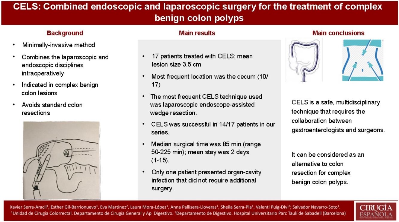 Combined endoscopic and laparoscopic surgery for the treatment of ...