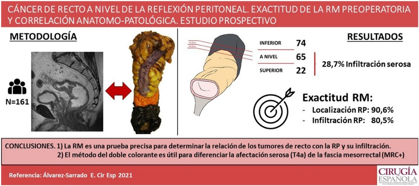 peritoneal reflections