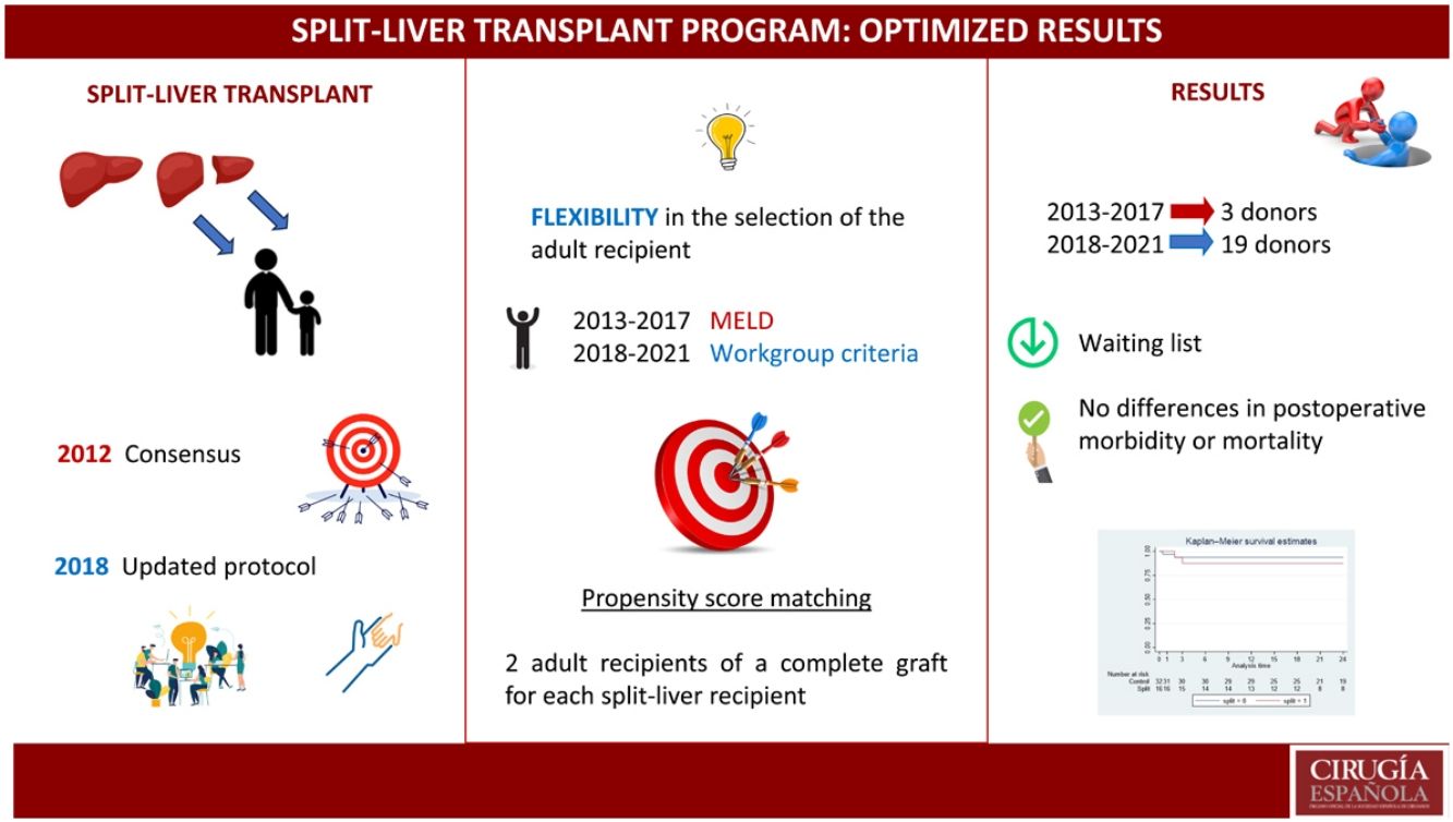 Optimized results of the liver partition program for split-liver ...