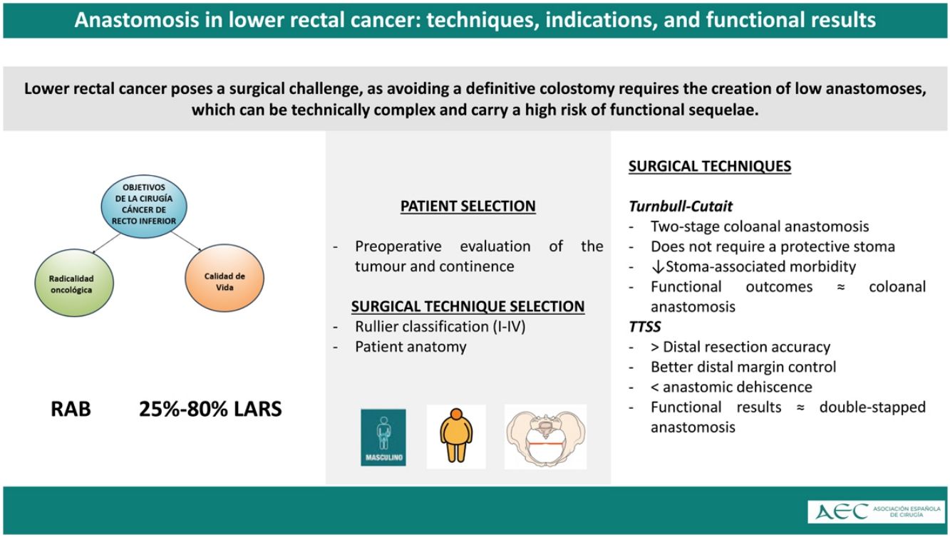 Low rectal cancer anastomosis: Techniques, indications and functional ...