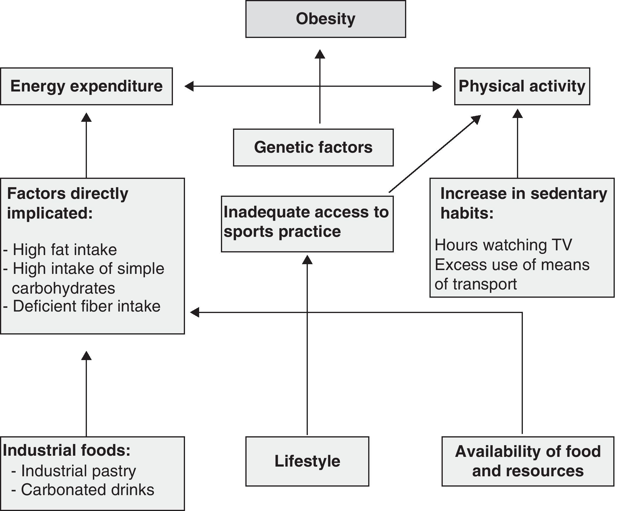 Obesity: Etiologic and pathophysiological analysis | Endocrinología y ...