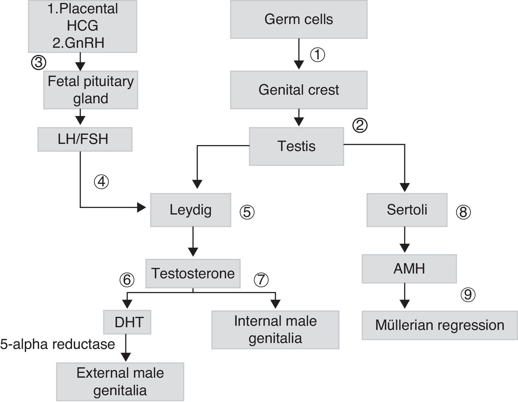 androgen insensitivity syndrome treatment