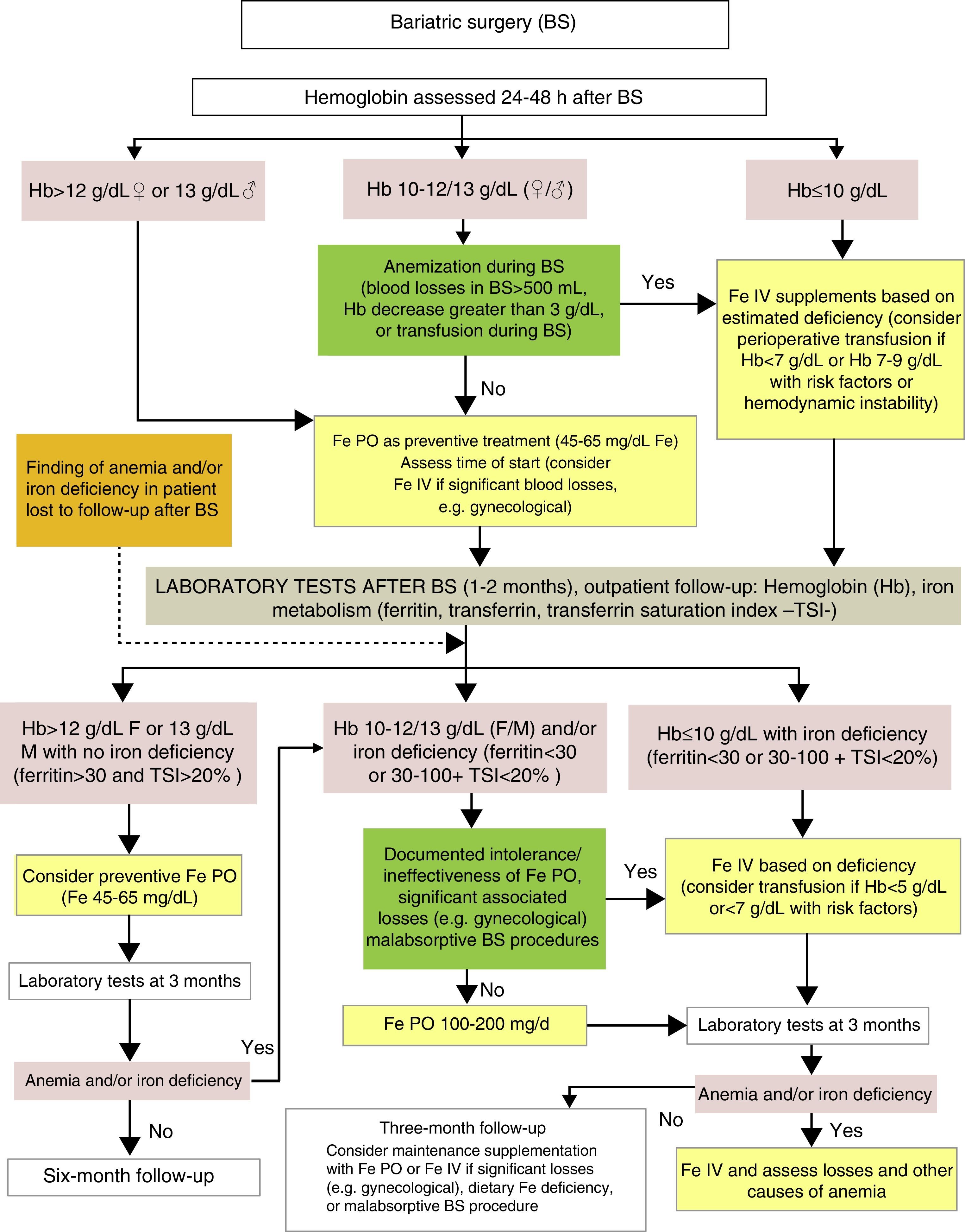 iron supplement guidelines