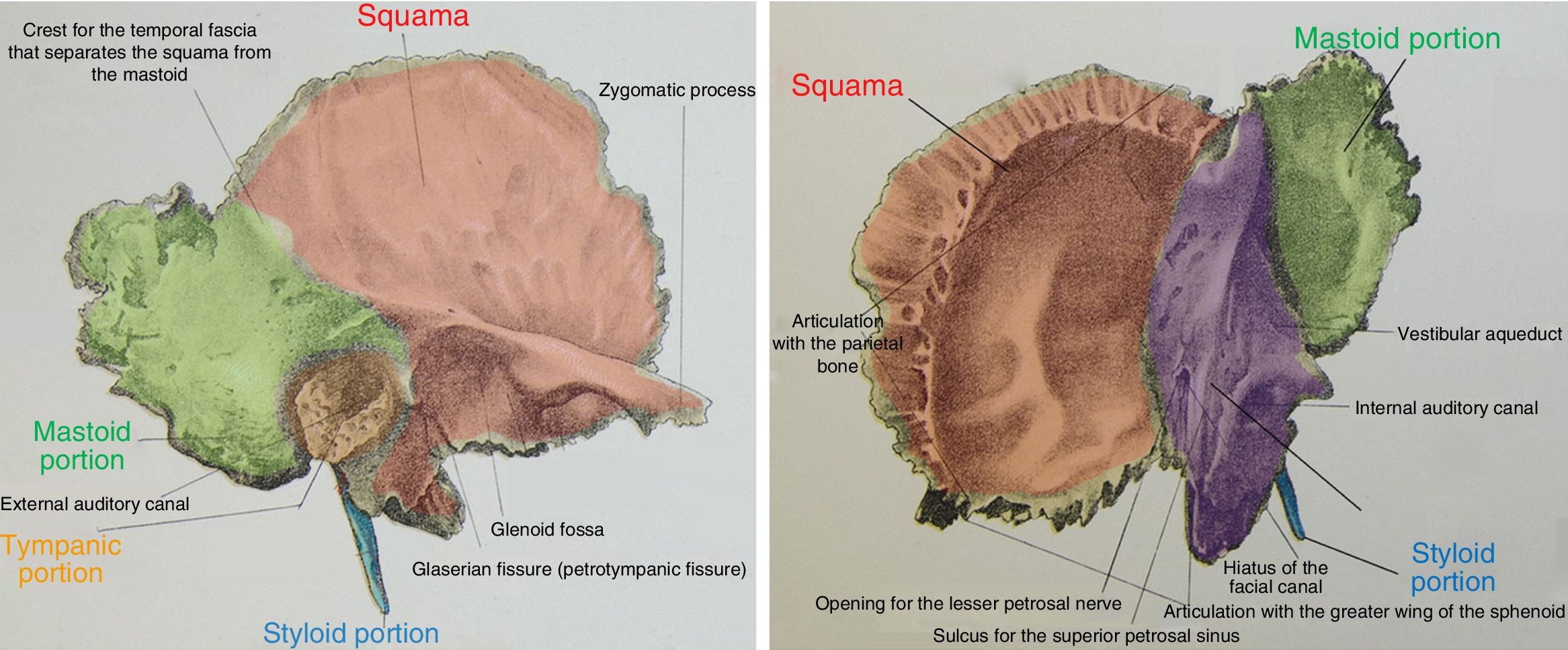 Traumatic injury of the petrous part of the temporal bone: Keys for ...
