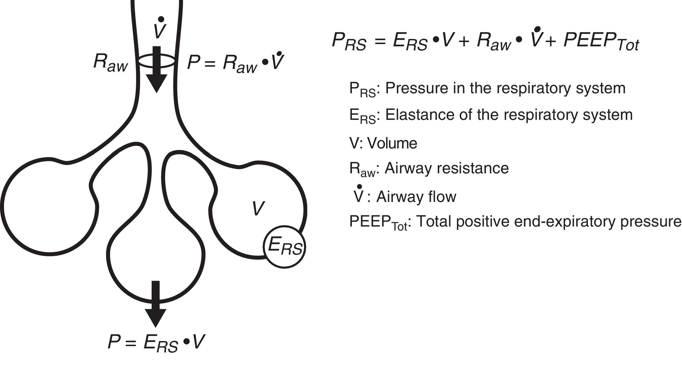 pulmonary ventilation equation