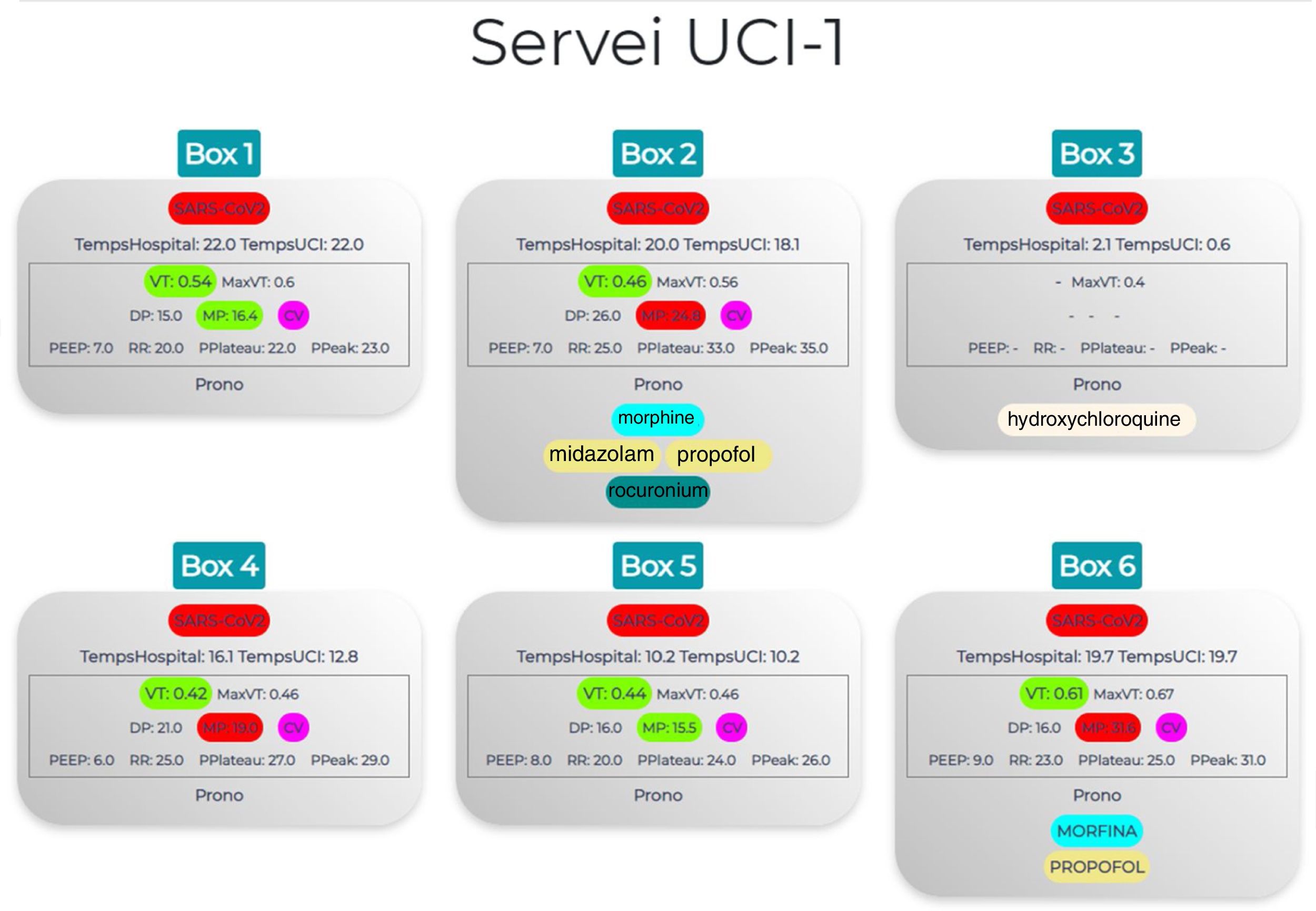 Support to the organization of the Intensive Care Units during the ...