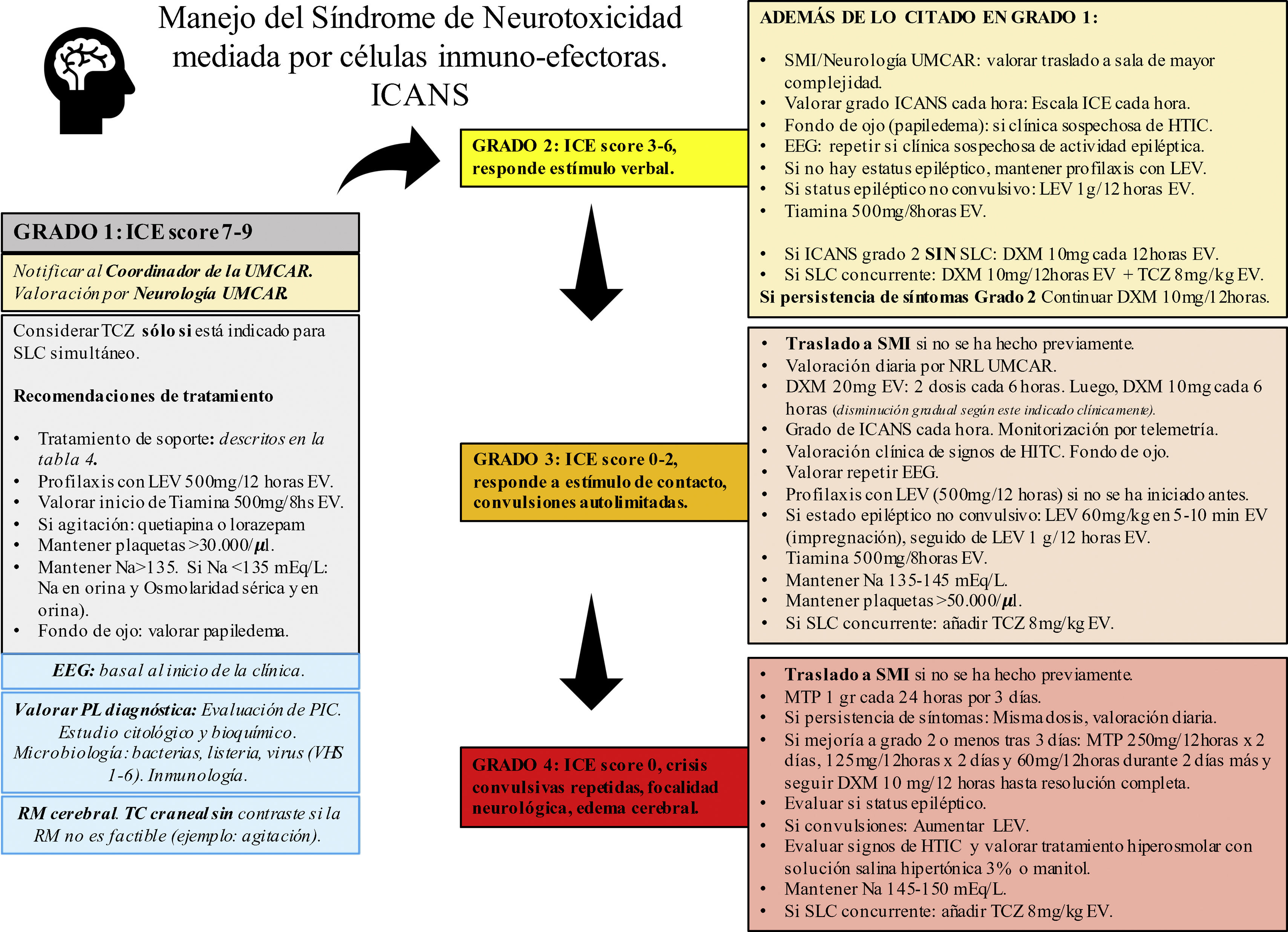 Immune effector cell-associated neurotoxicity syndrome: A therapeutic ...