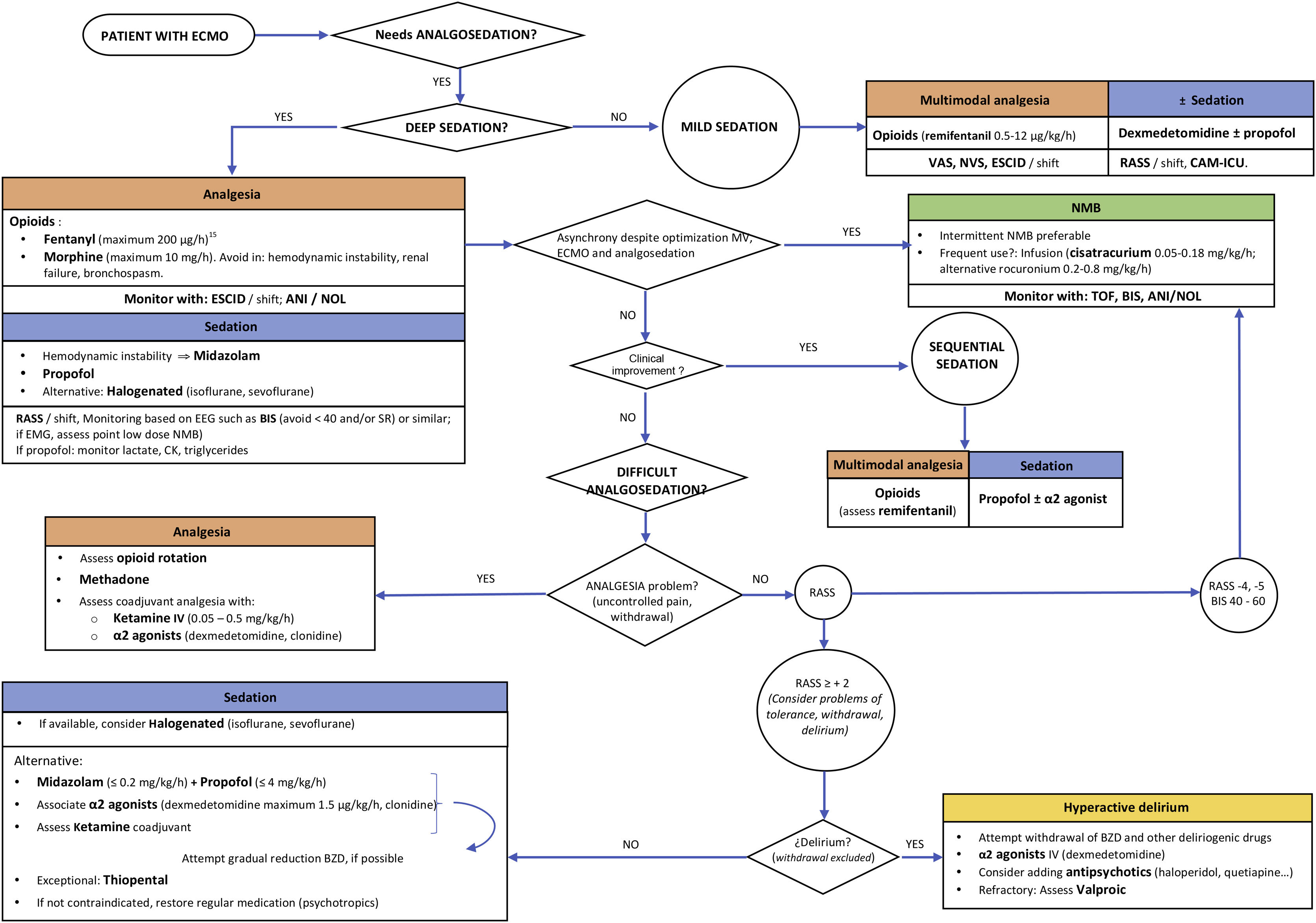 vv ecmo weaning protocol