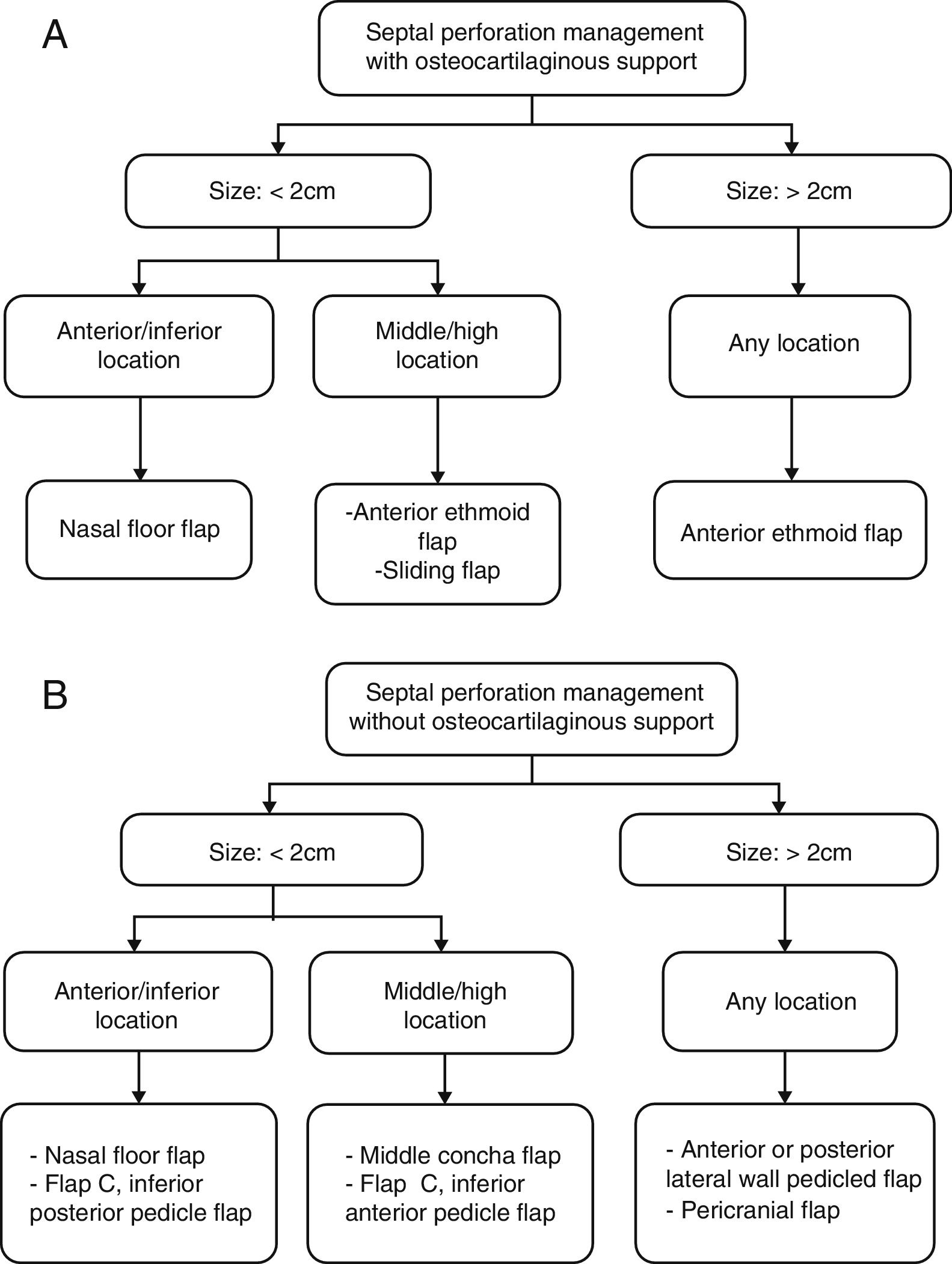 Endoscopic Closure of Septal Perforations | Acta Otorrinolaringológica ...