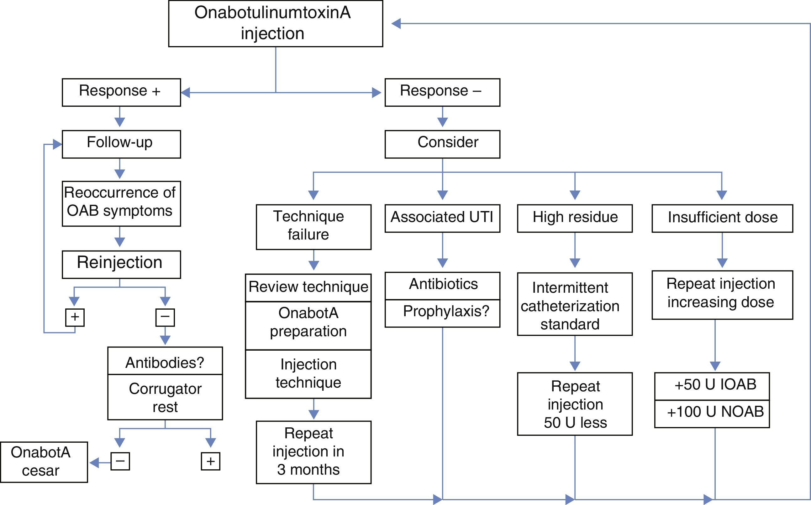 OnabotulinumtoxinA in overactive bladder: Evidence-based consensus ...