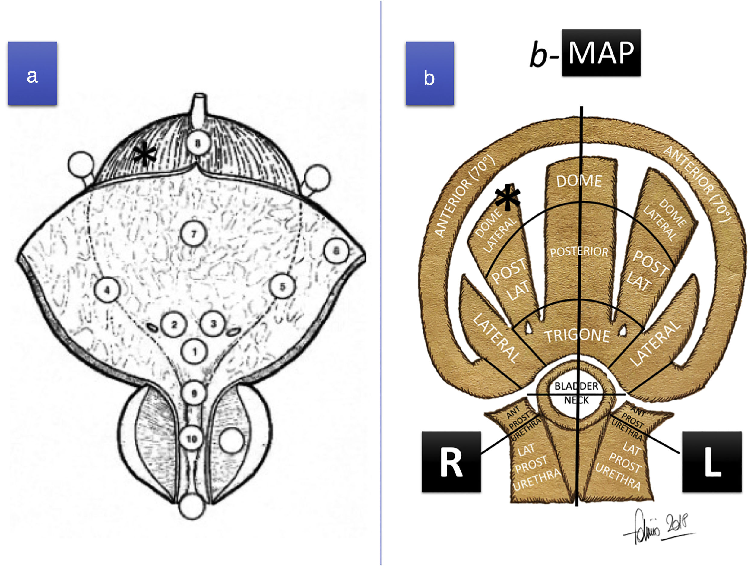 ‘b-MAP’: A new diagram for reporting data on various areas of an ...