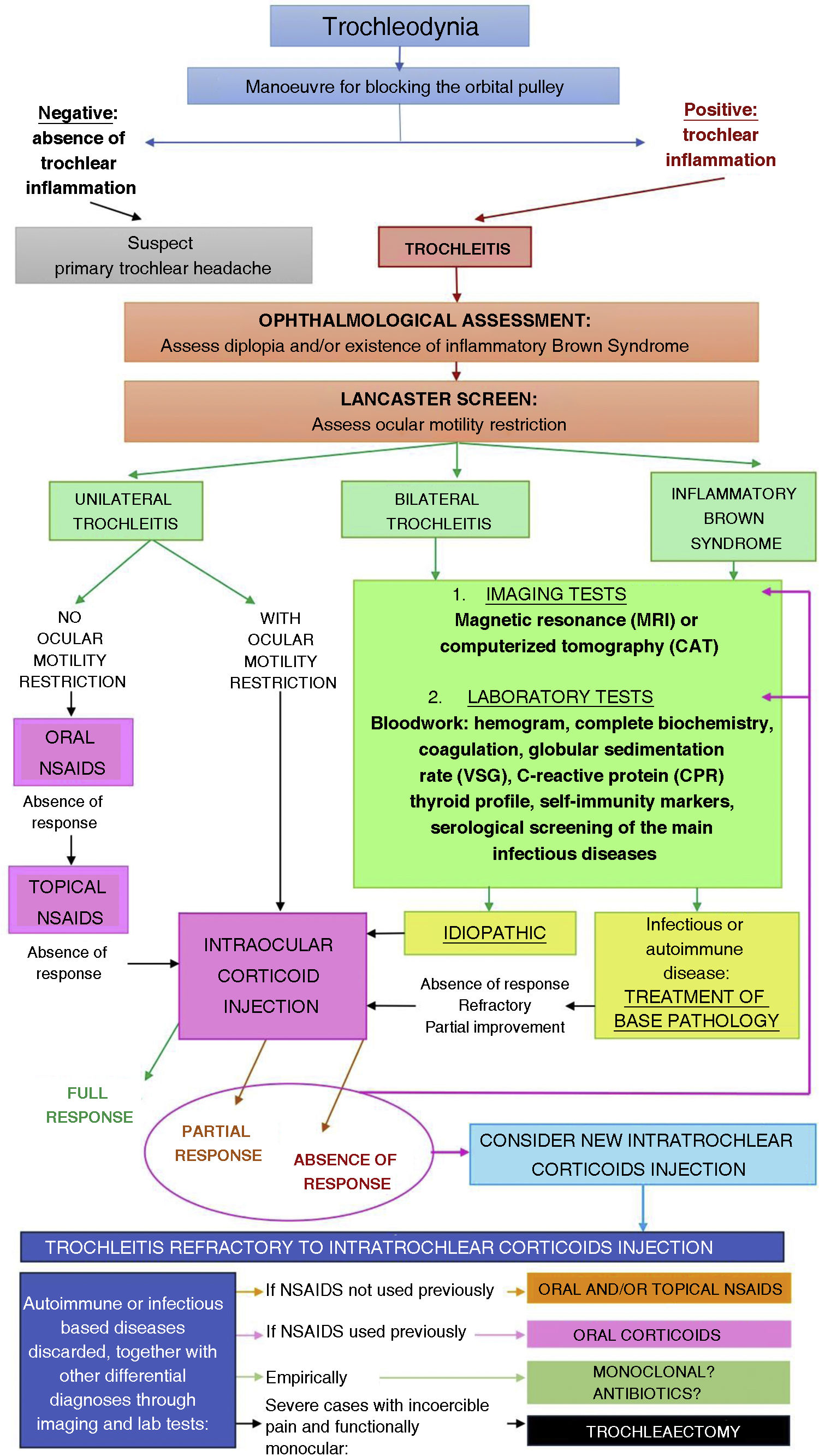 Orbital trochleitis: Literature review | Archivos de la Sociedad ...