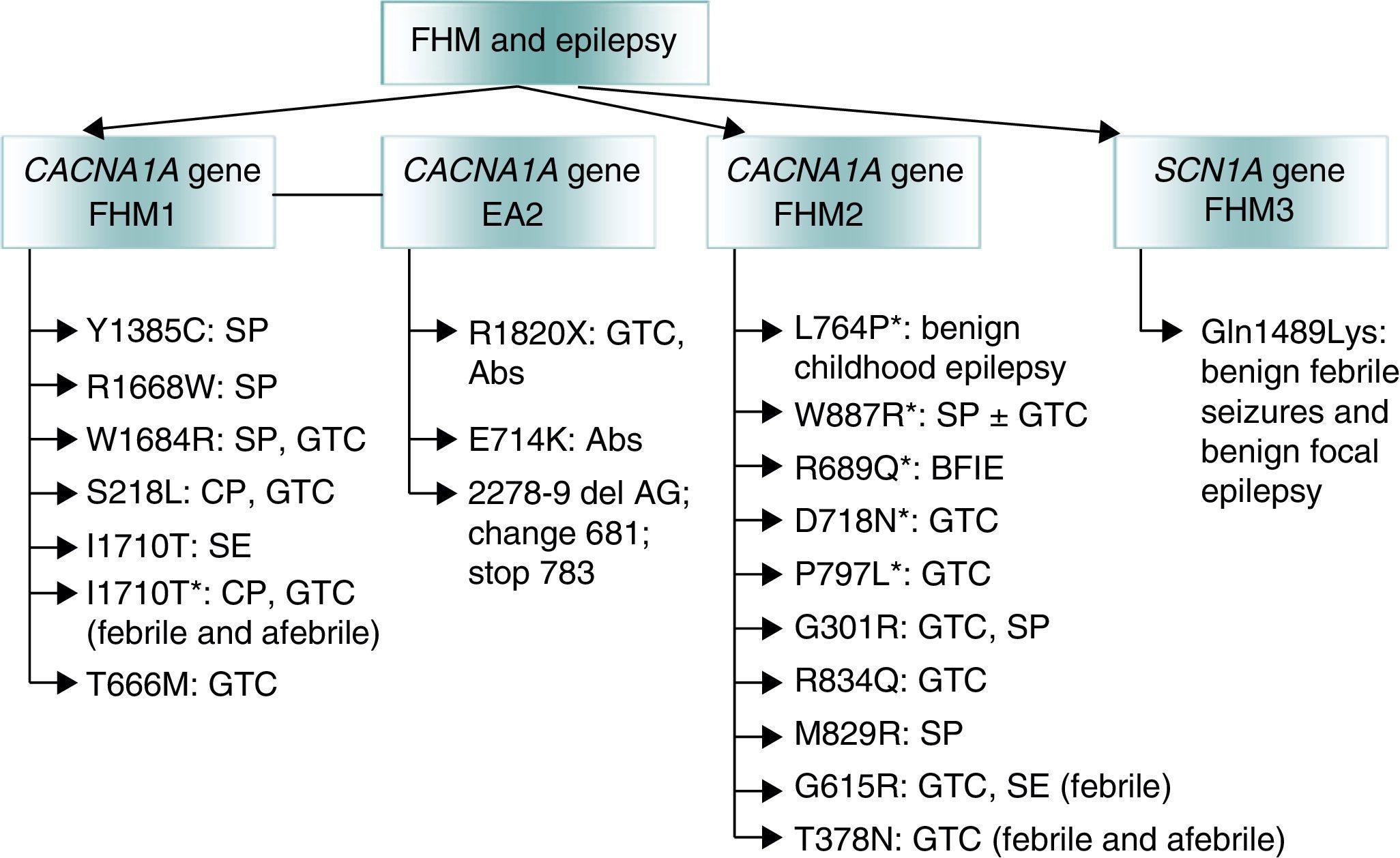 Links between headaches and epilepsy: current knowledge and terminology ...