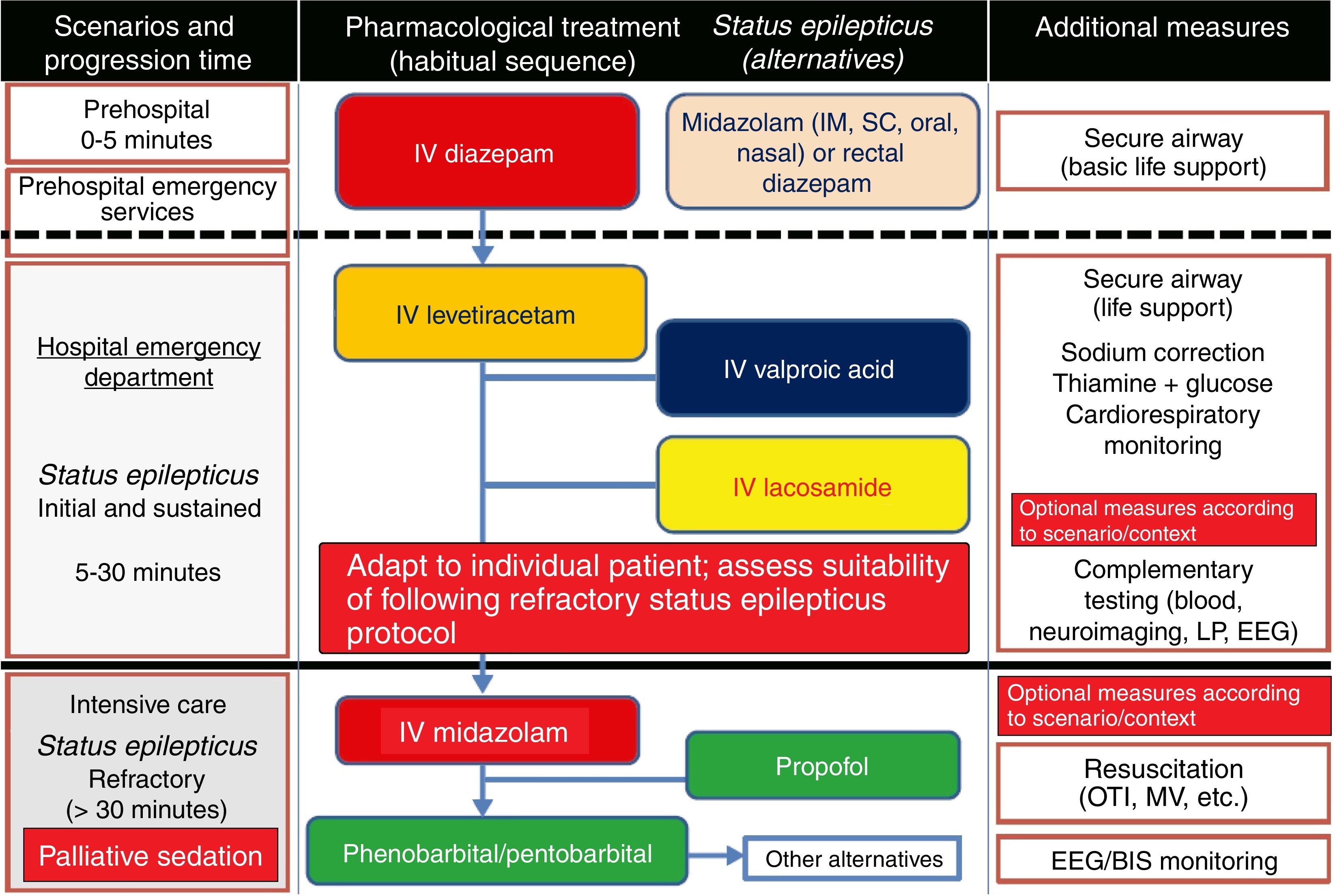 Guidelines for seizure management in palliative care: proposal for an ...
