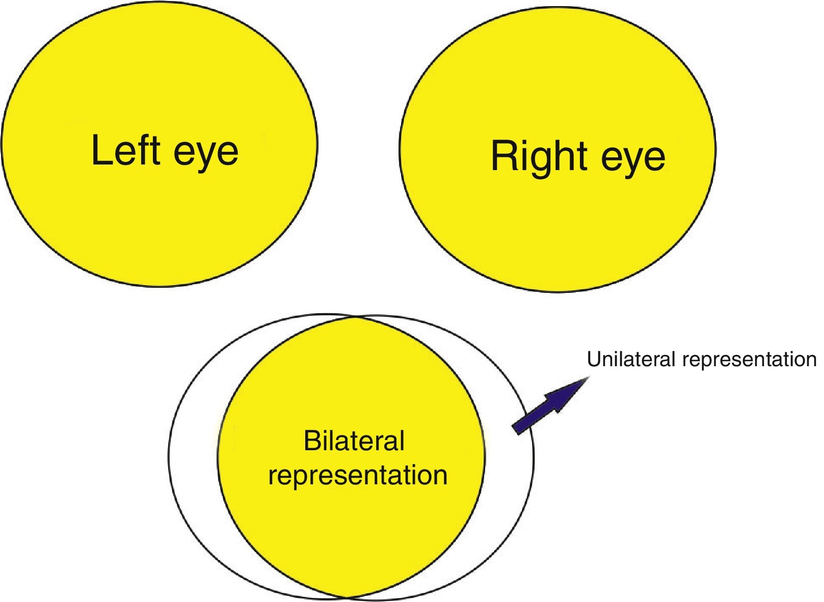 what is temporal visual field