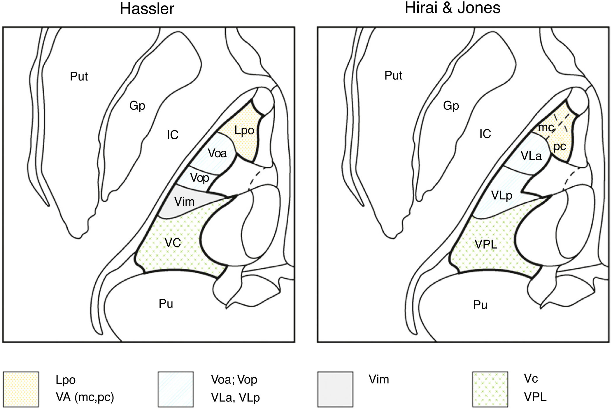 ventral intermediate nucleus thalamus
