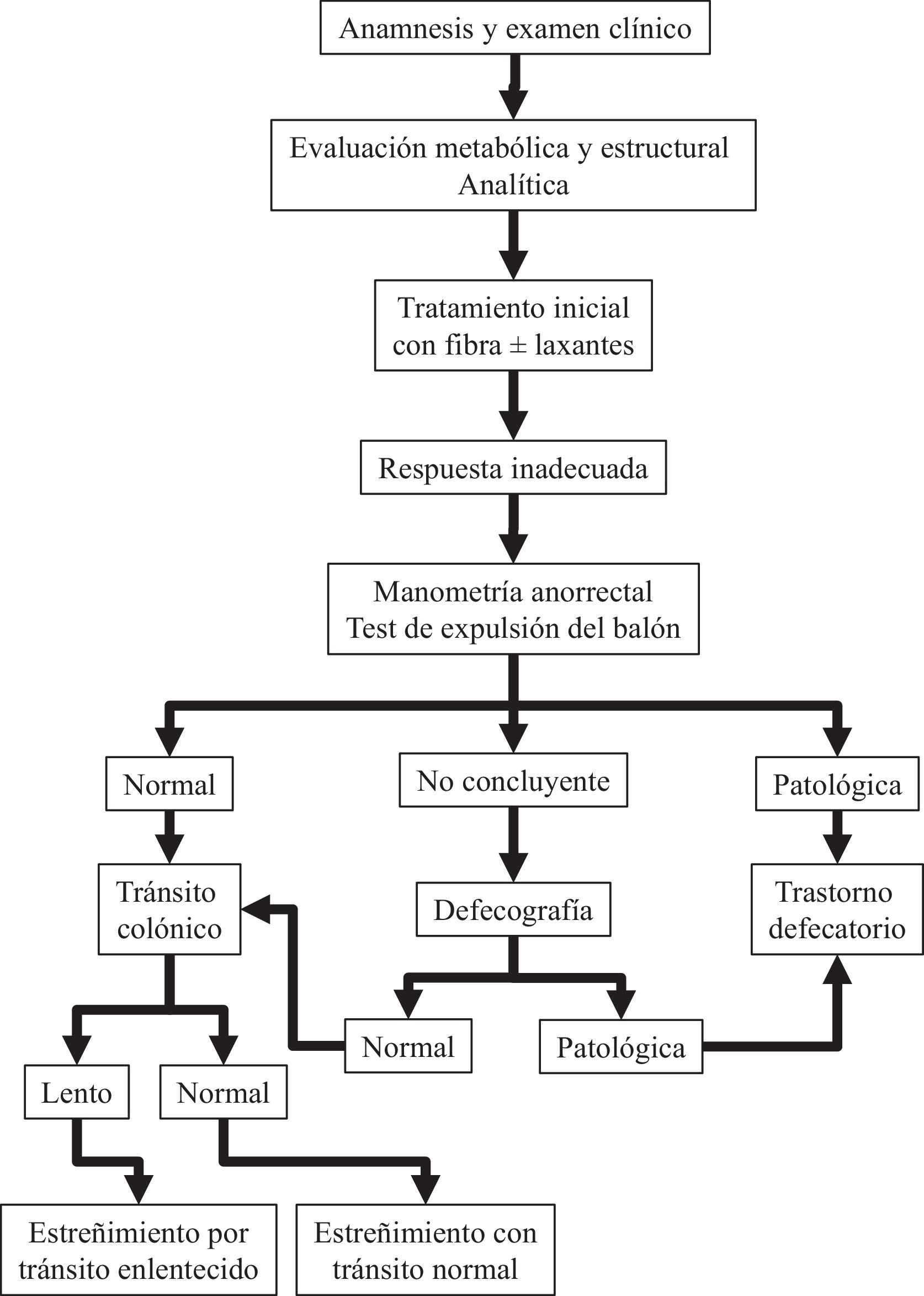 Gammagrafía de tránsito gastrointestinal en la valoración del rectocele ...