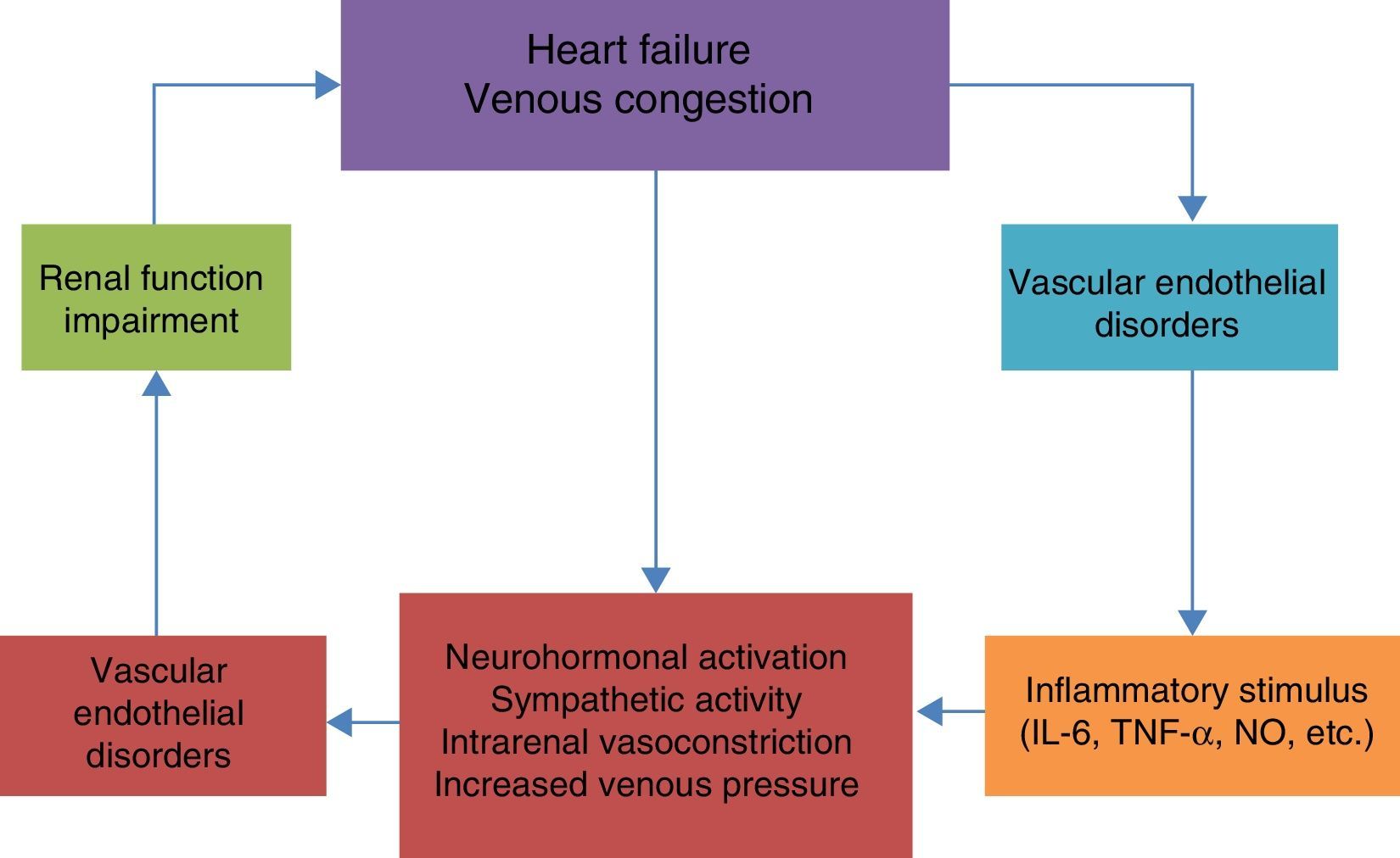 Pathophysiology of acute heart failure: A world to know | Revista ...