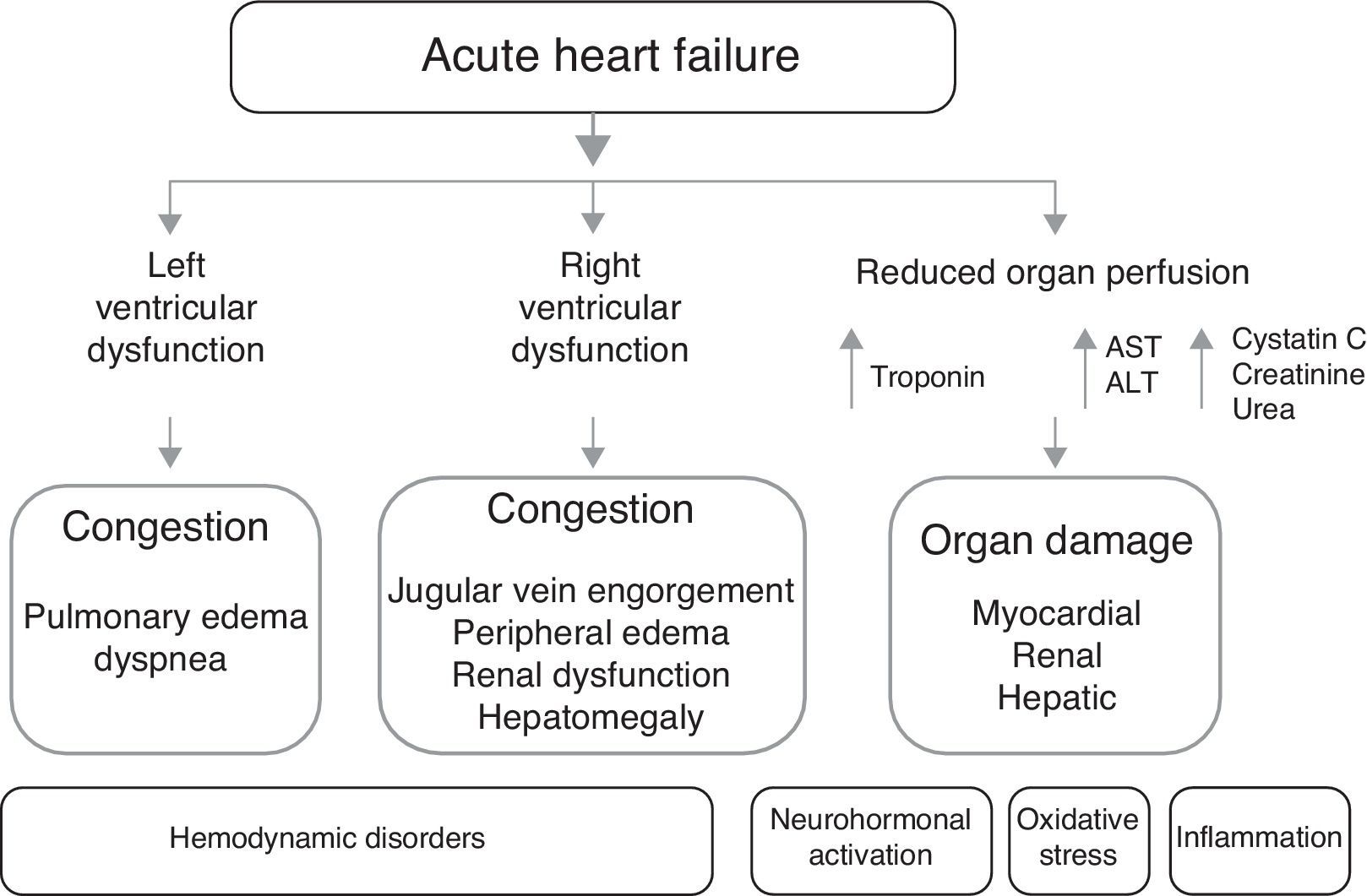 Target organ damage in acute heart failure | Revista Clínica Española