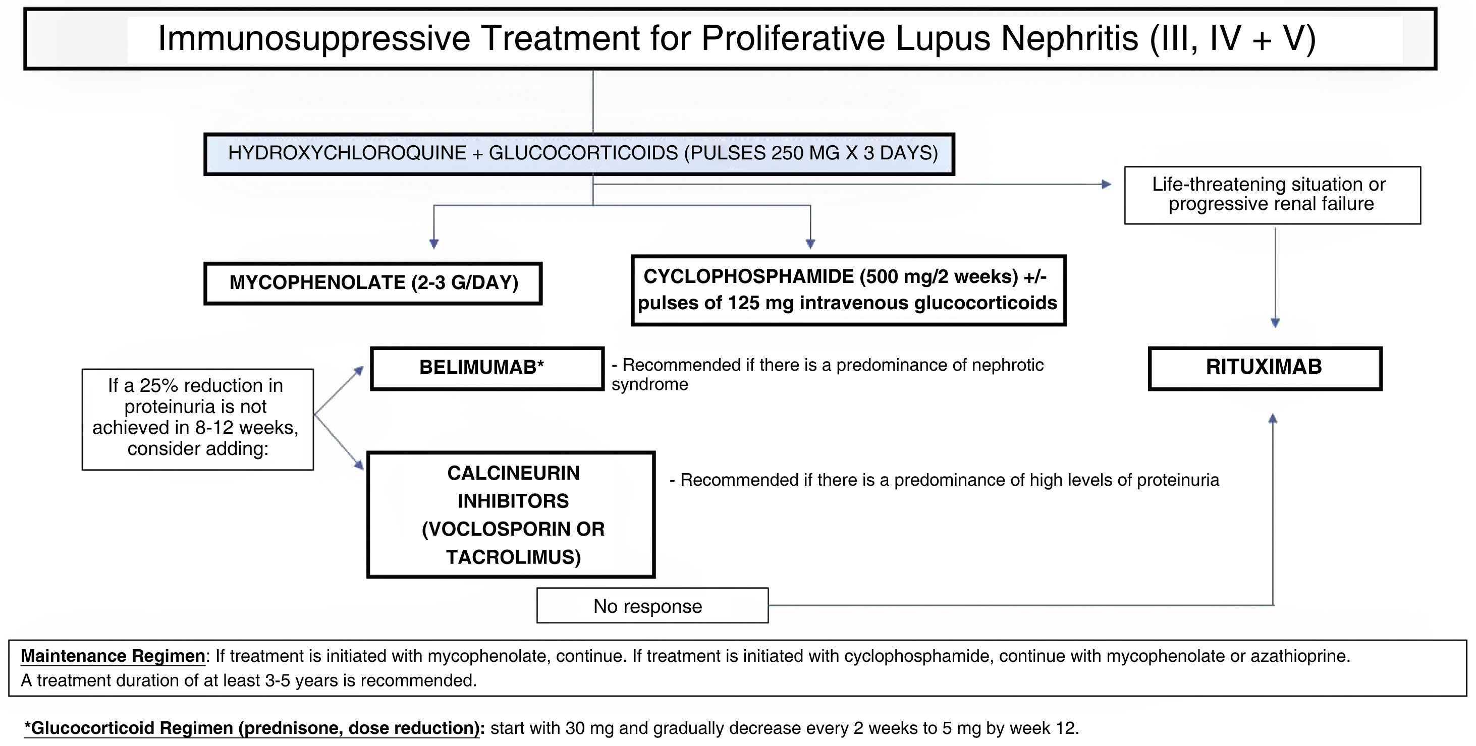 Treatment of systemic lupus erythematosus: new therapeutic options ...