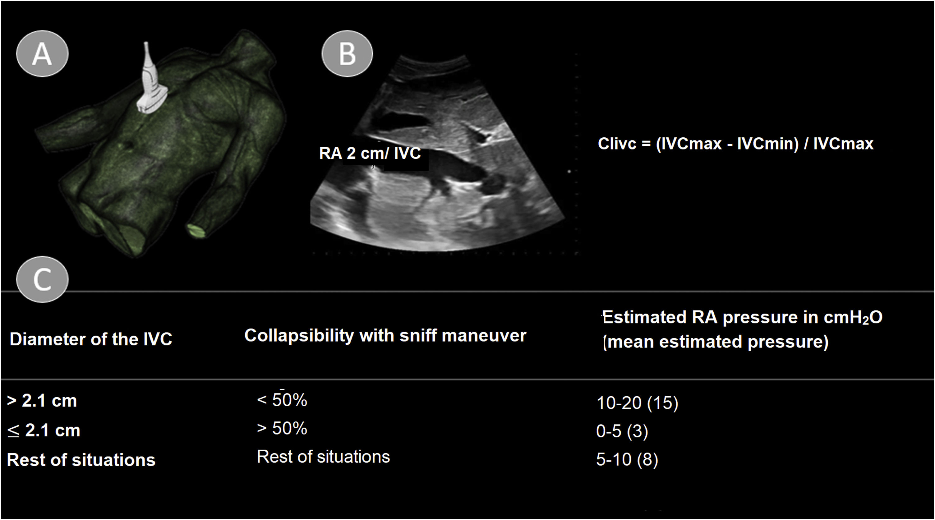 Position statement on the use of point-of-care ultrasound in heart ...