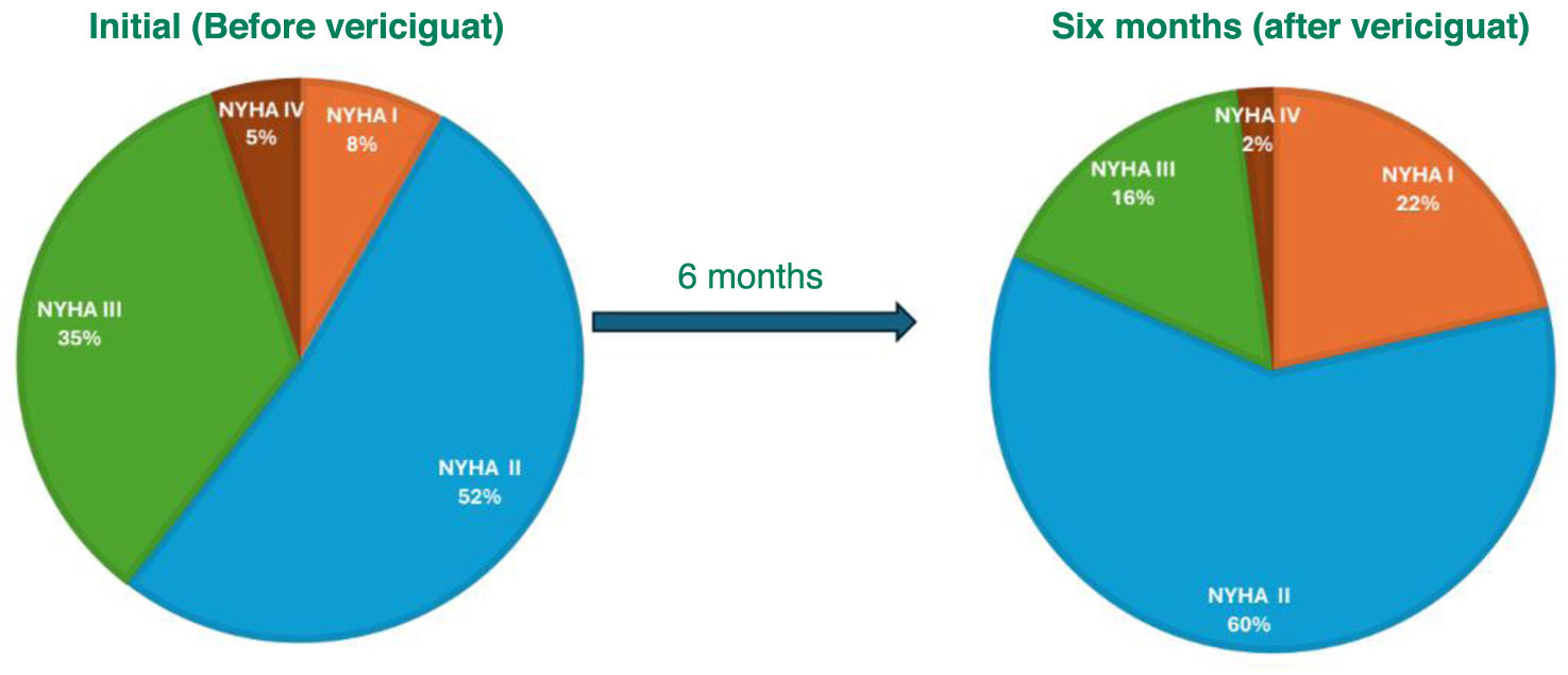 VERICIDuAT: Real-life study of vericiguat in patients with heart ...