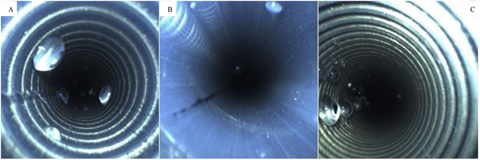 Endoscope channel drying, storage, and conditions after reprocessing ...