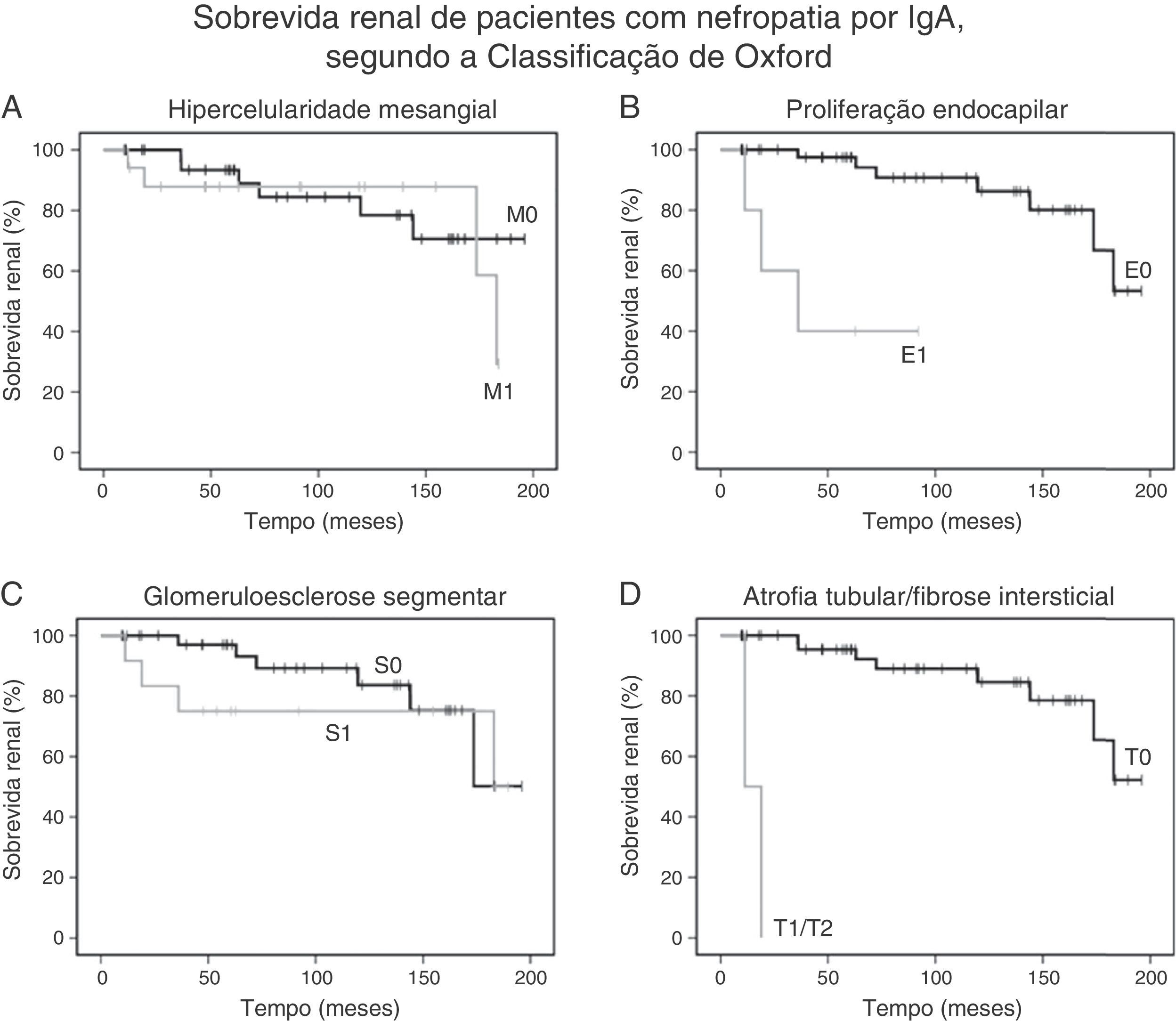 The Oxford Classification predictors of chronic kidney disease in ...