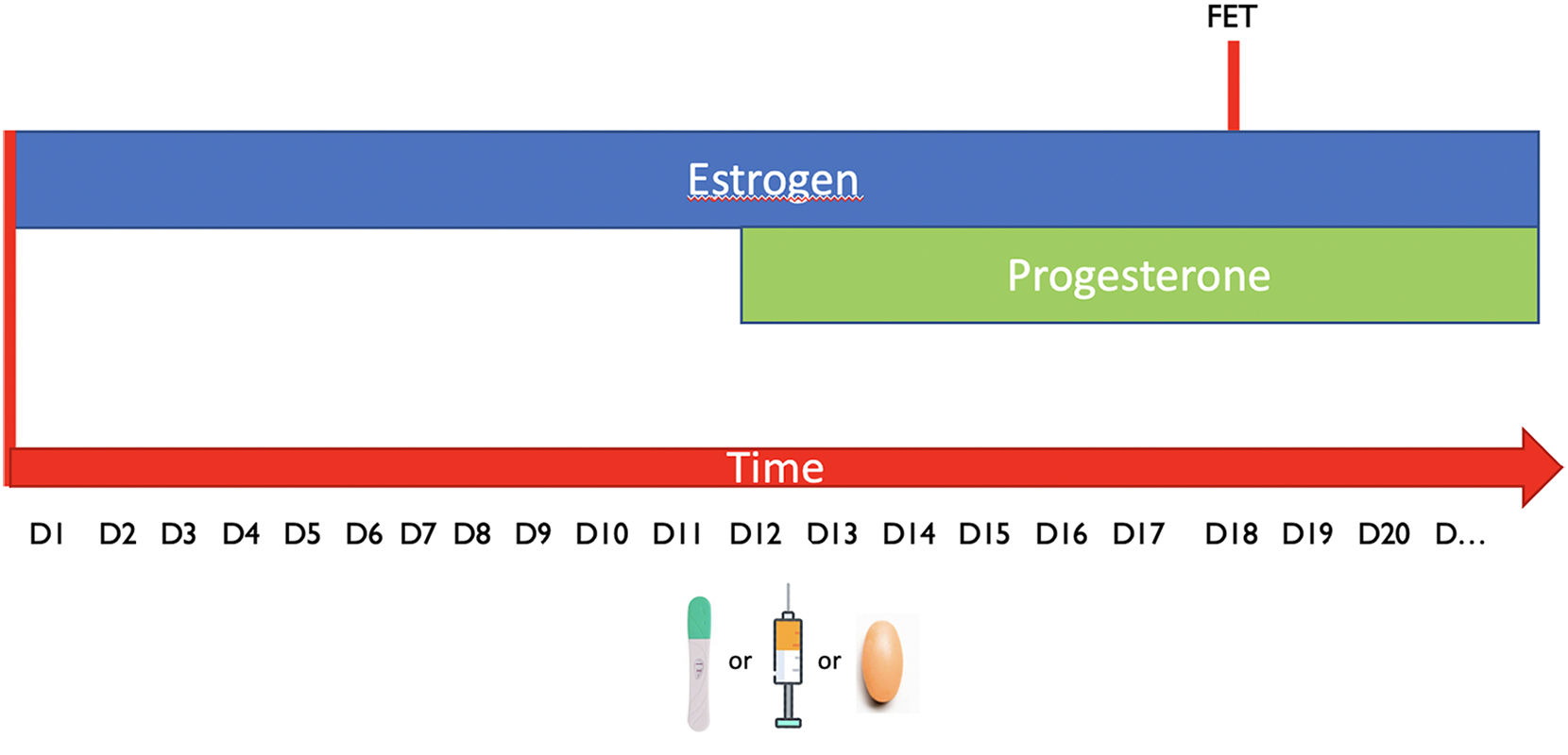 Luteal phase: New ideas on an old concept | Medicina Reproductiva y ...