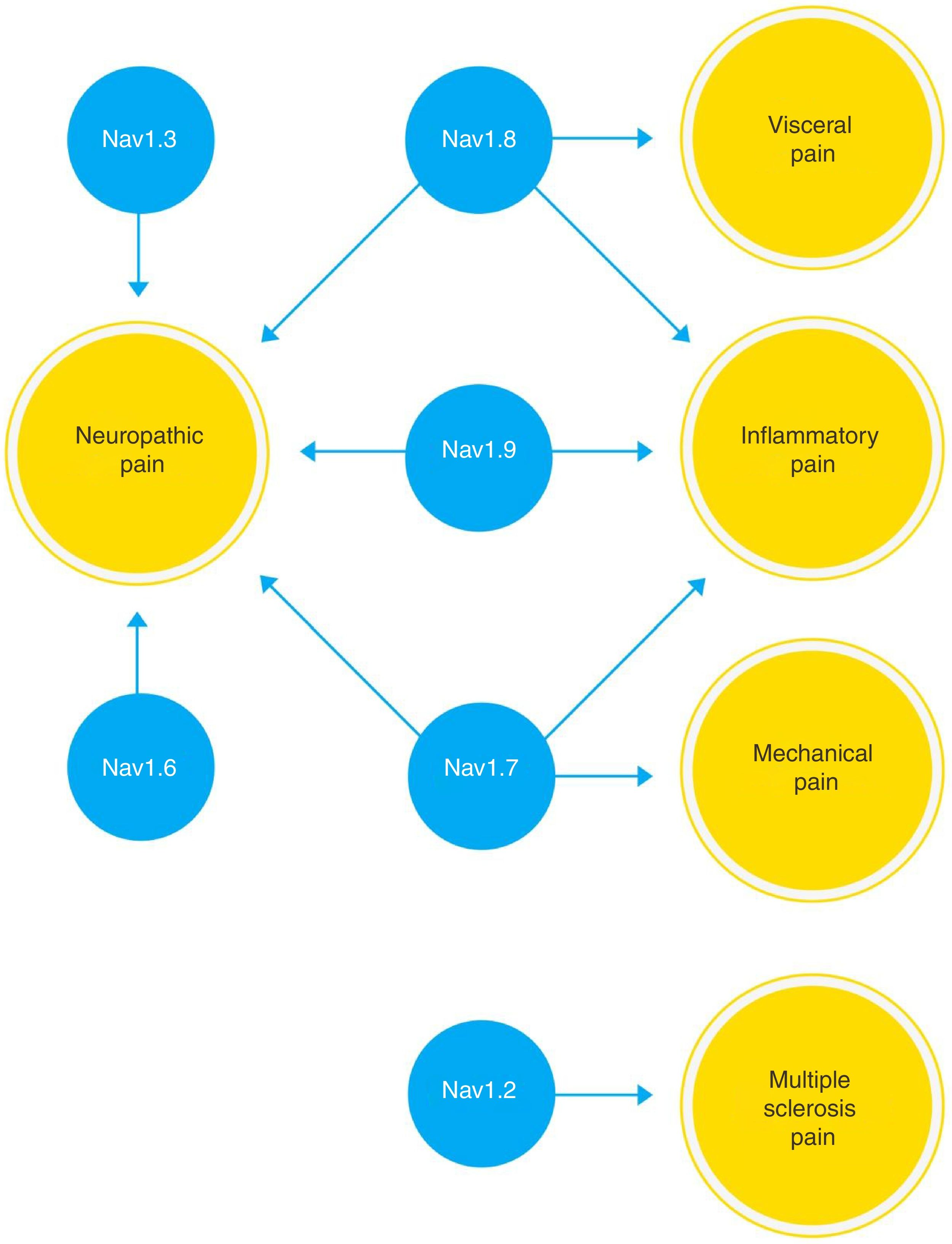 Role of voltage-gated sodium channel blockers in the treatment of ...