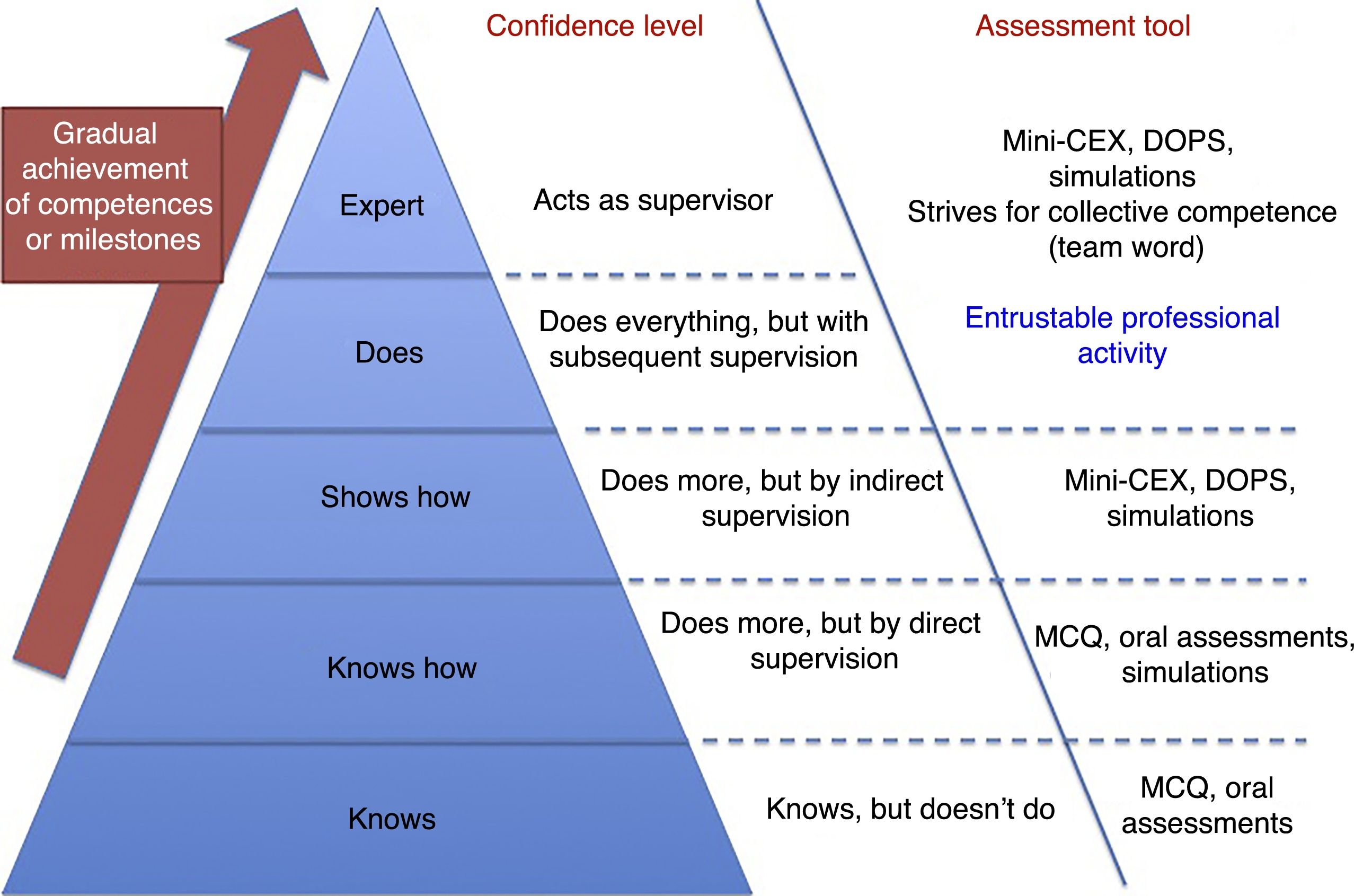 Teaching model based on competencies: Brief review and practical ...