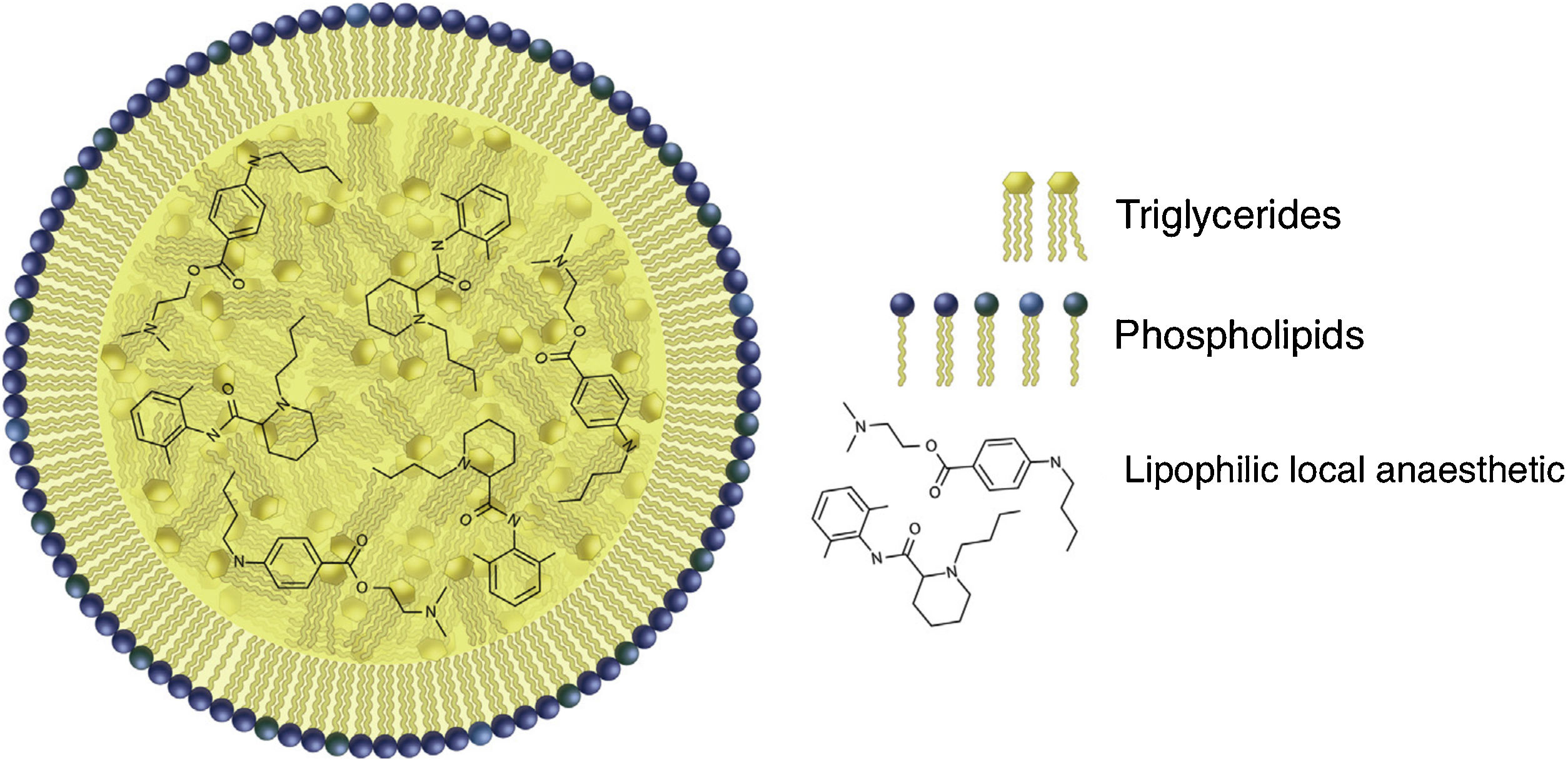 Lipid emulsions in the treatment of intoxications by local anesthesics ...