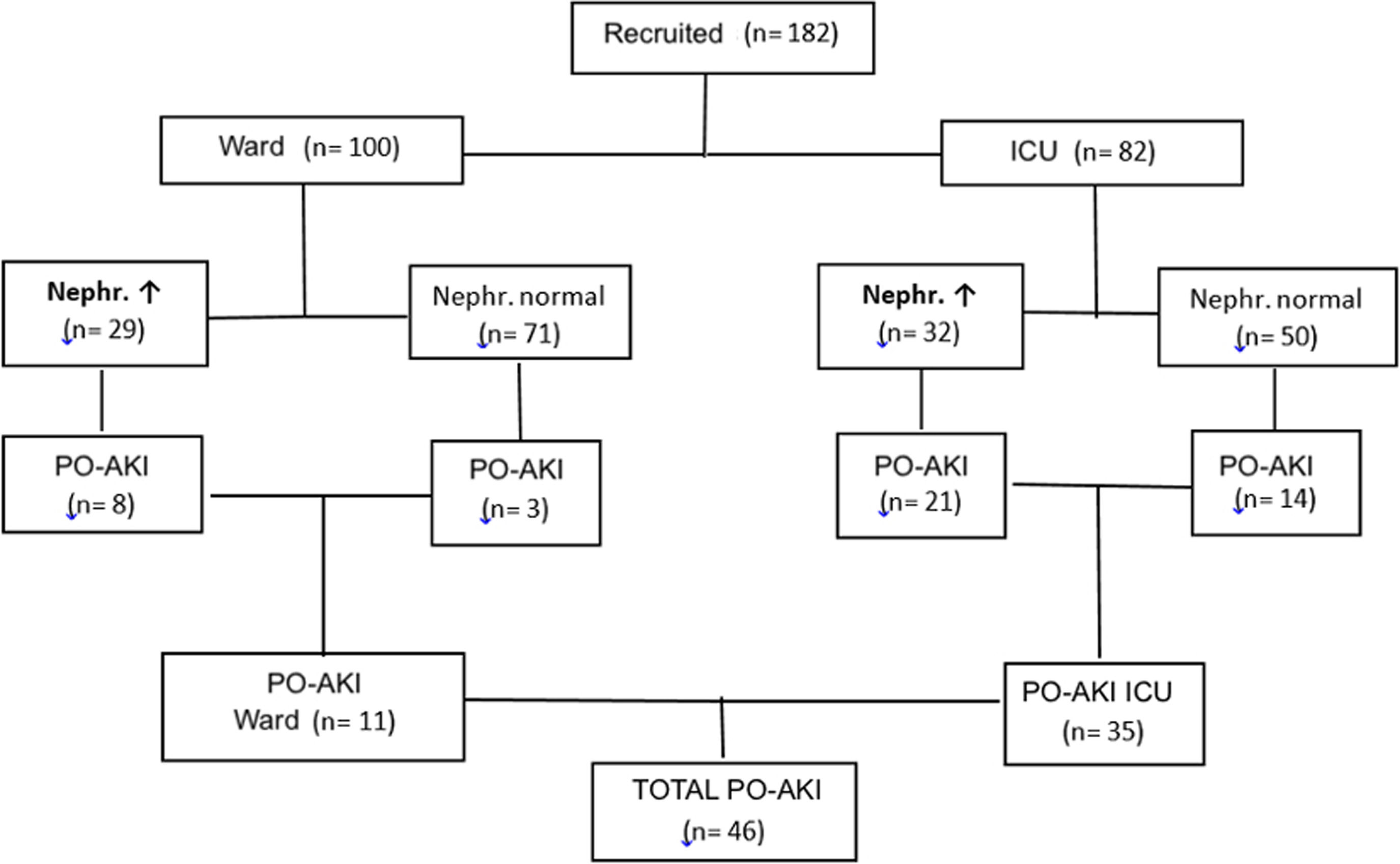 Postoperative acute kidney injury in major abdominal surgery. Utility ...